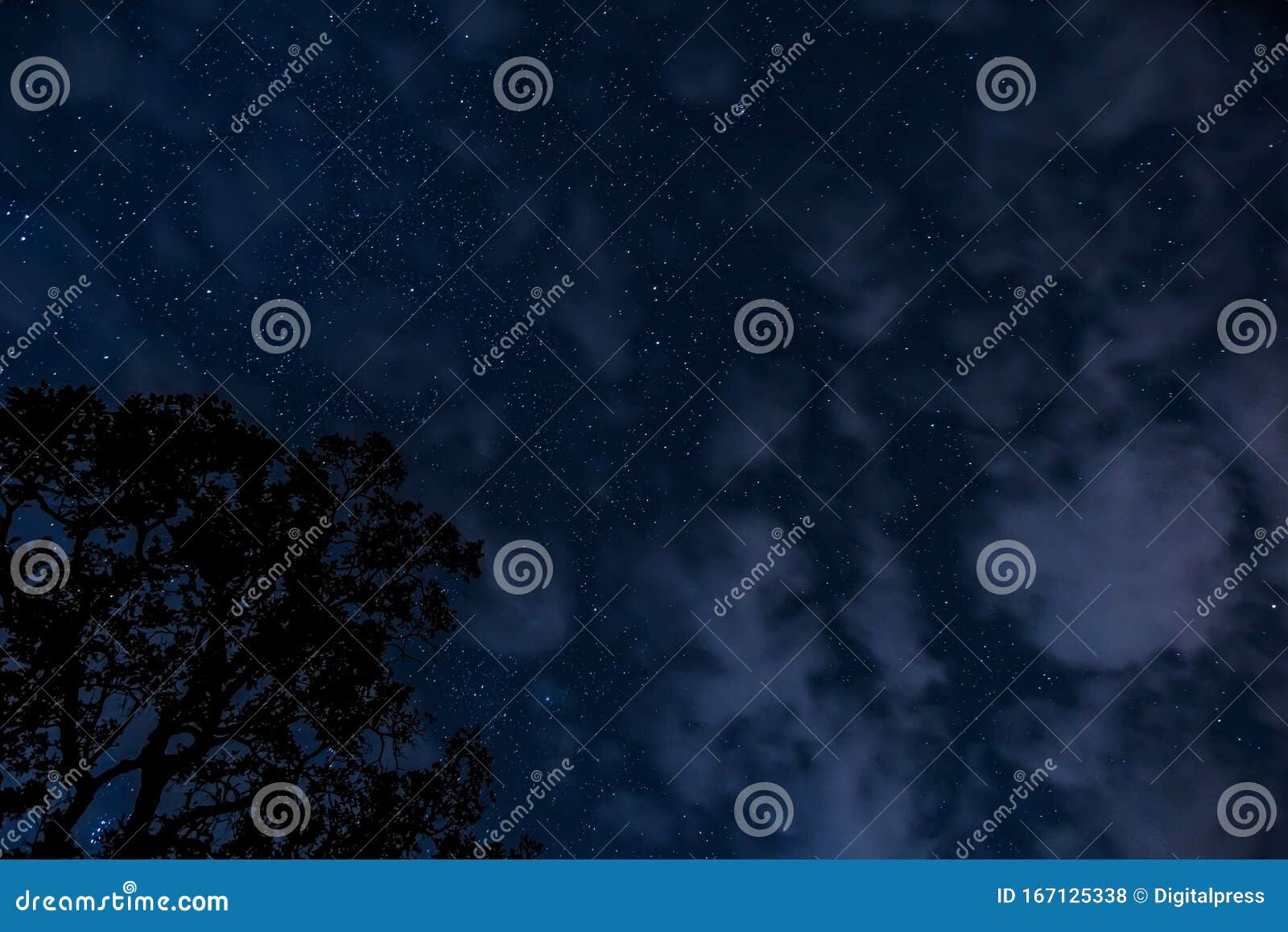 Starry Sky Landscape stock photo. Image of night, galaxy - 167125338