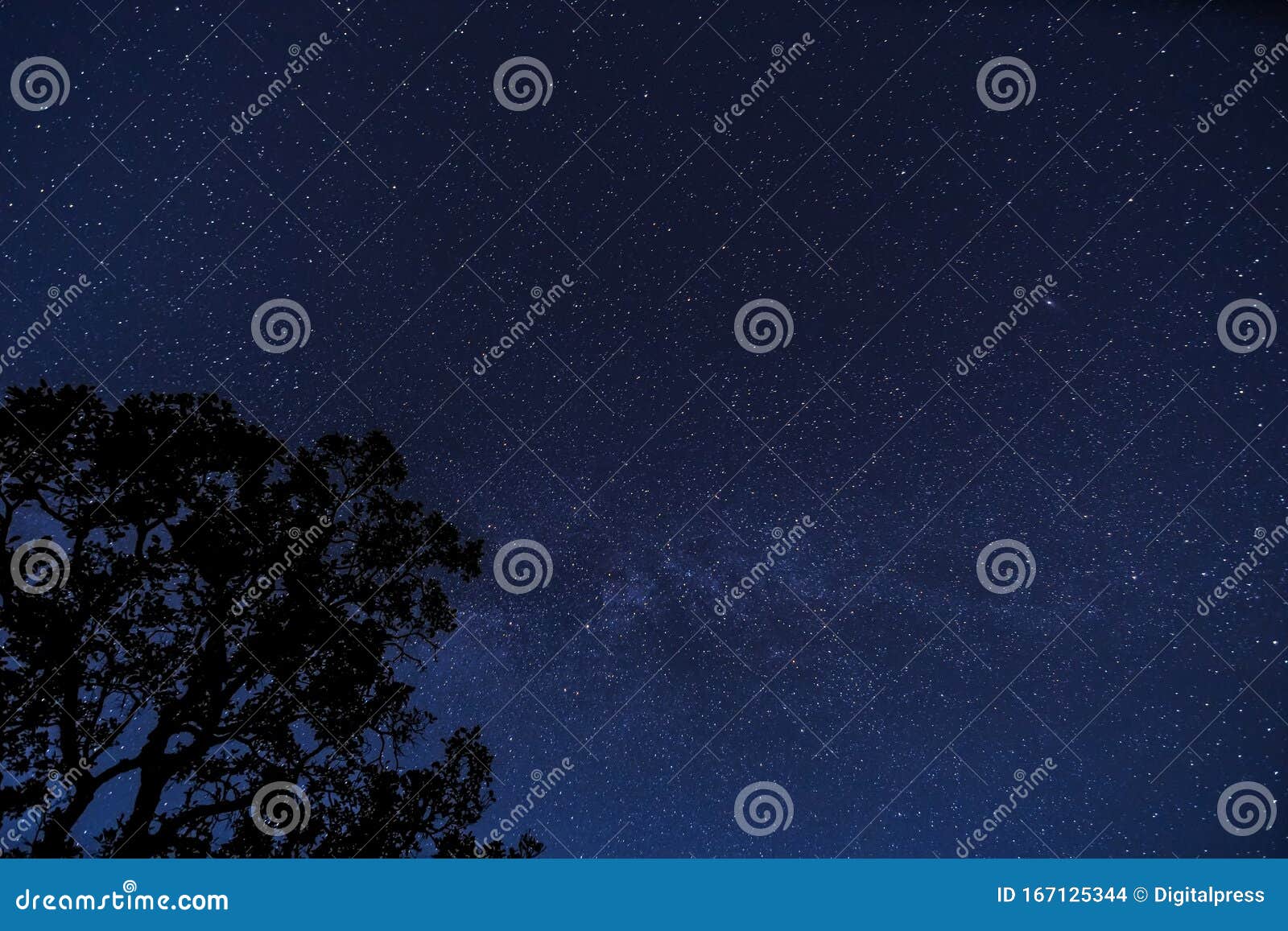 Starry Sky Landscape stock photo. Image of space, cosmos - 167125344