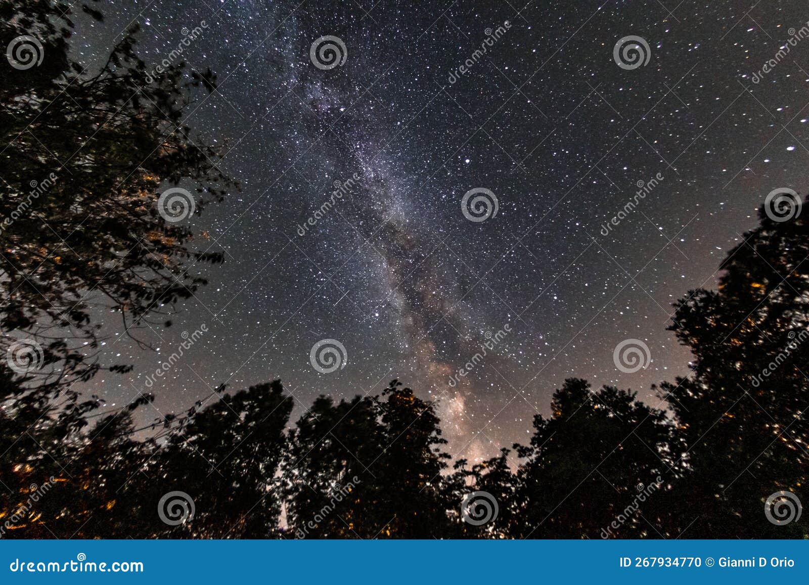 Starry Sky and Milky Way Seen from the Woods Stock Photo - Image of ...