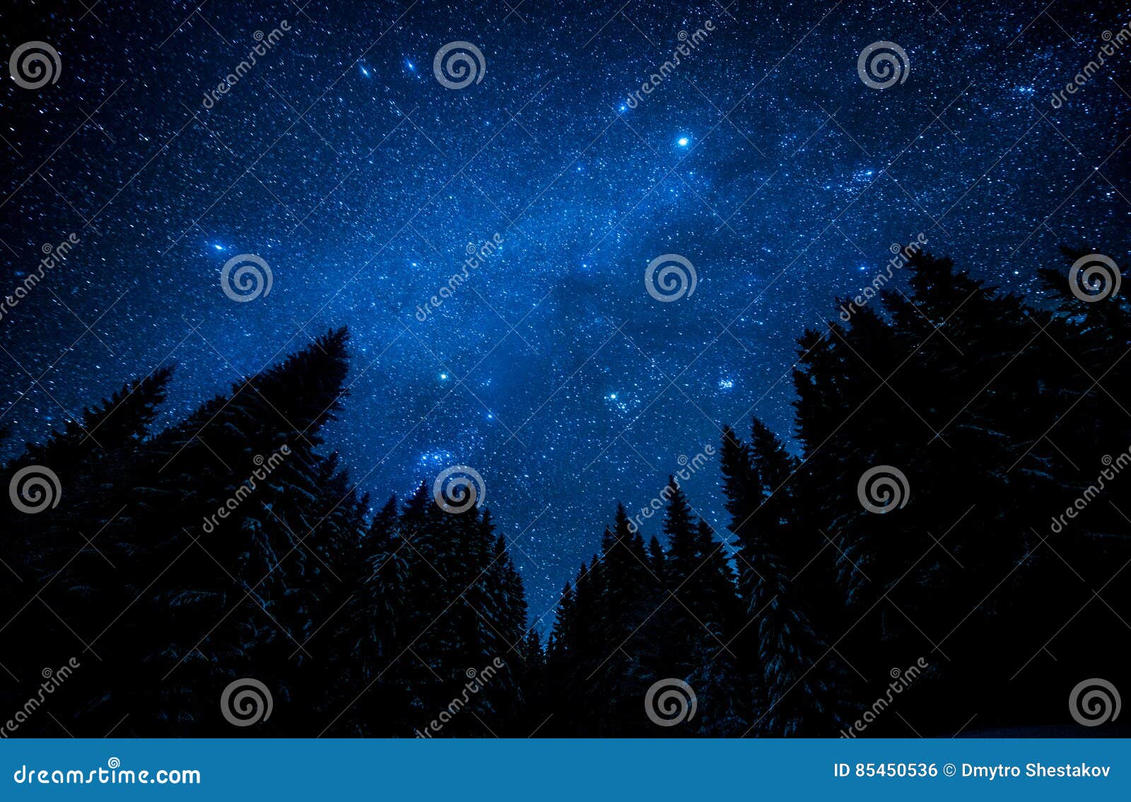 Starry Sky in the Night Forest Stock Photo - Image of astronomy ...