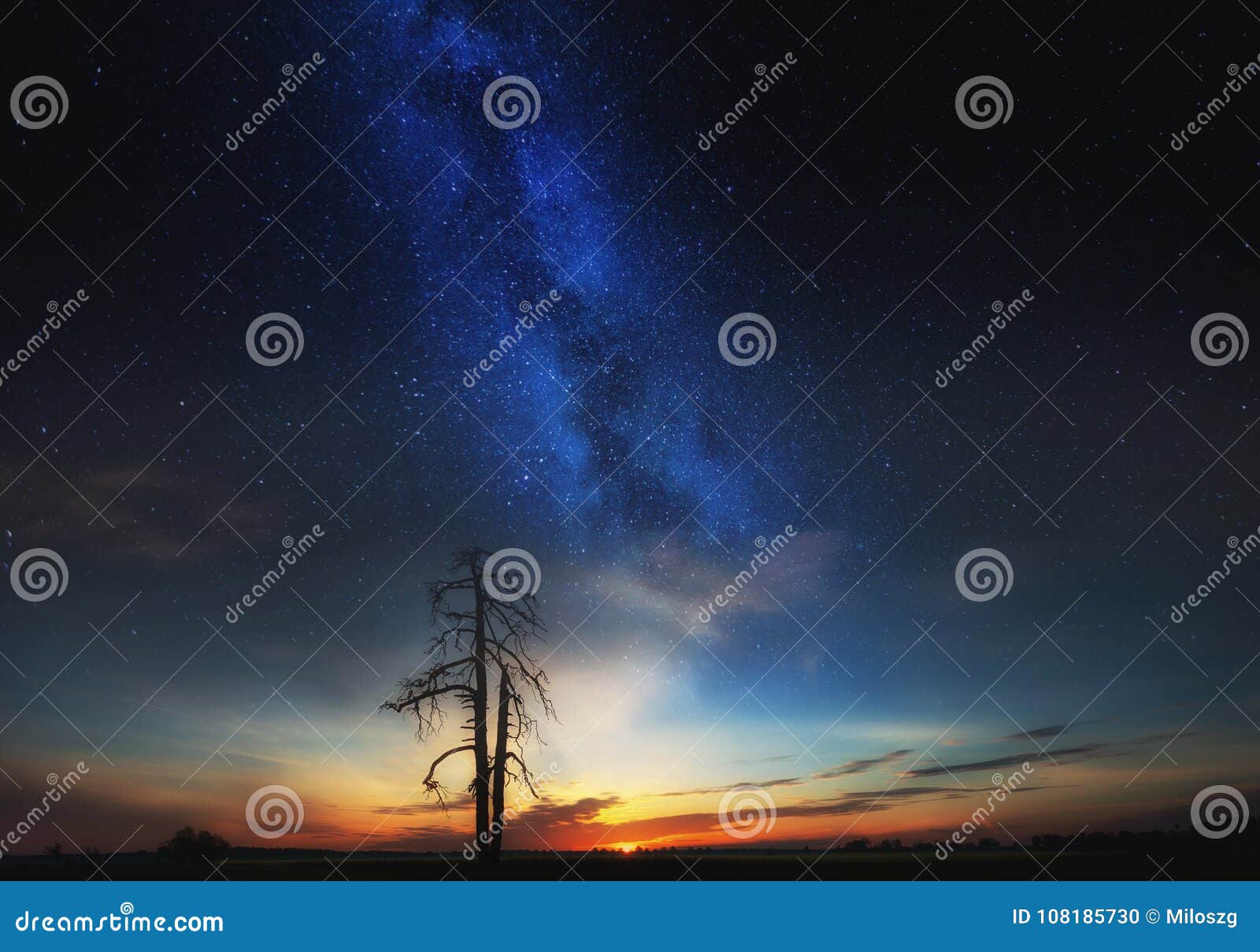Starry Sky Over Field and Dead Tree, Fine Art Landscape Stock Photo ...