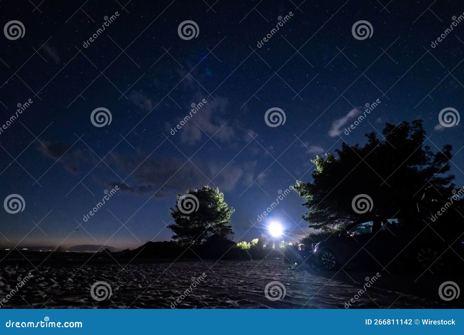Starry Sky Over the Field with Several Trees Stock Photo - Image of ...