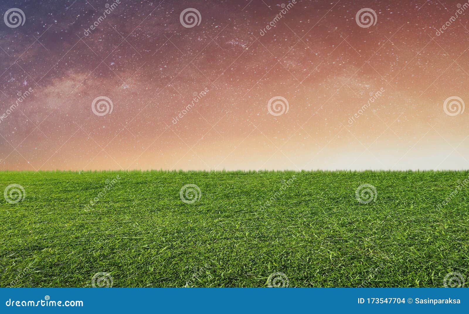 Starry Sky with Sunlight Over Green Grass Stock Photo - Image of ...