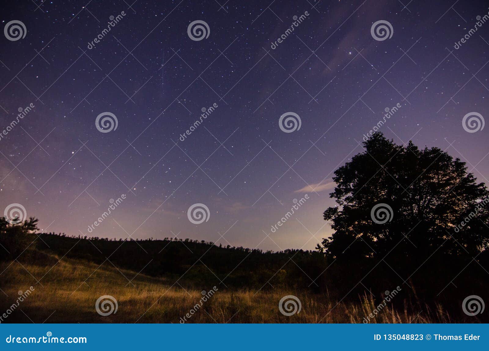 Starry Sky with Tree and Meadow Stock Image - Image of night, nature ...