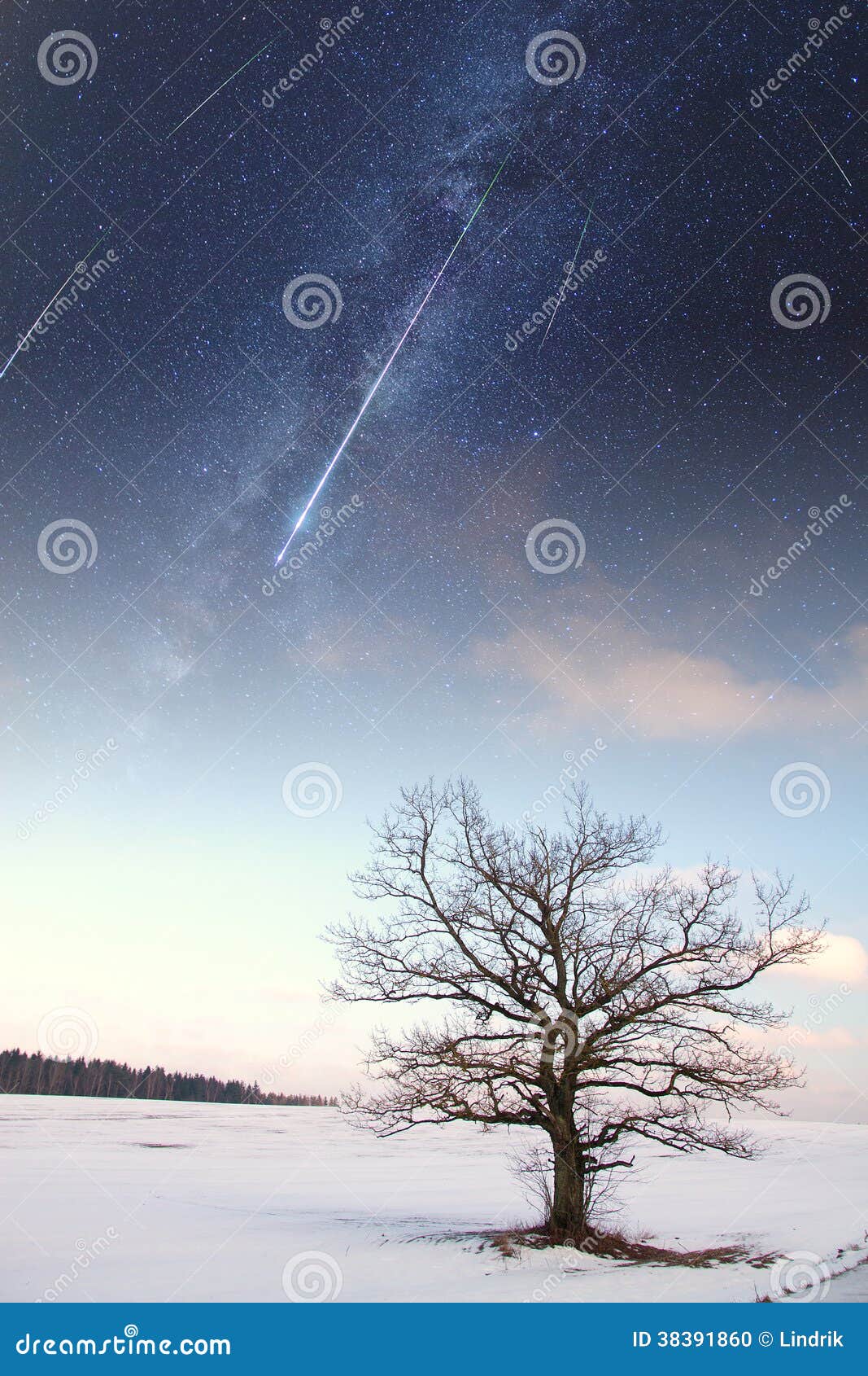 Starry sky in winter stock photo. Image of high, lapse - 38391860