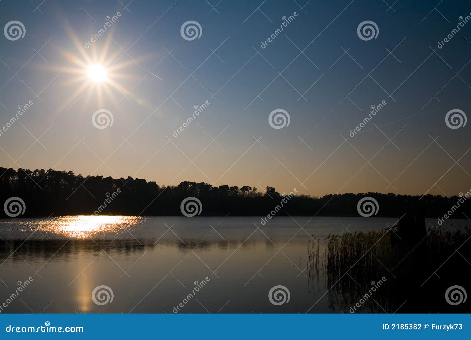 Starry sun stock photo. Image of nature, tree, clouds - 2185382