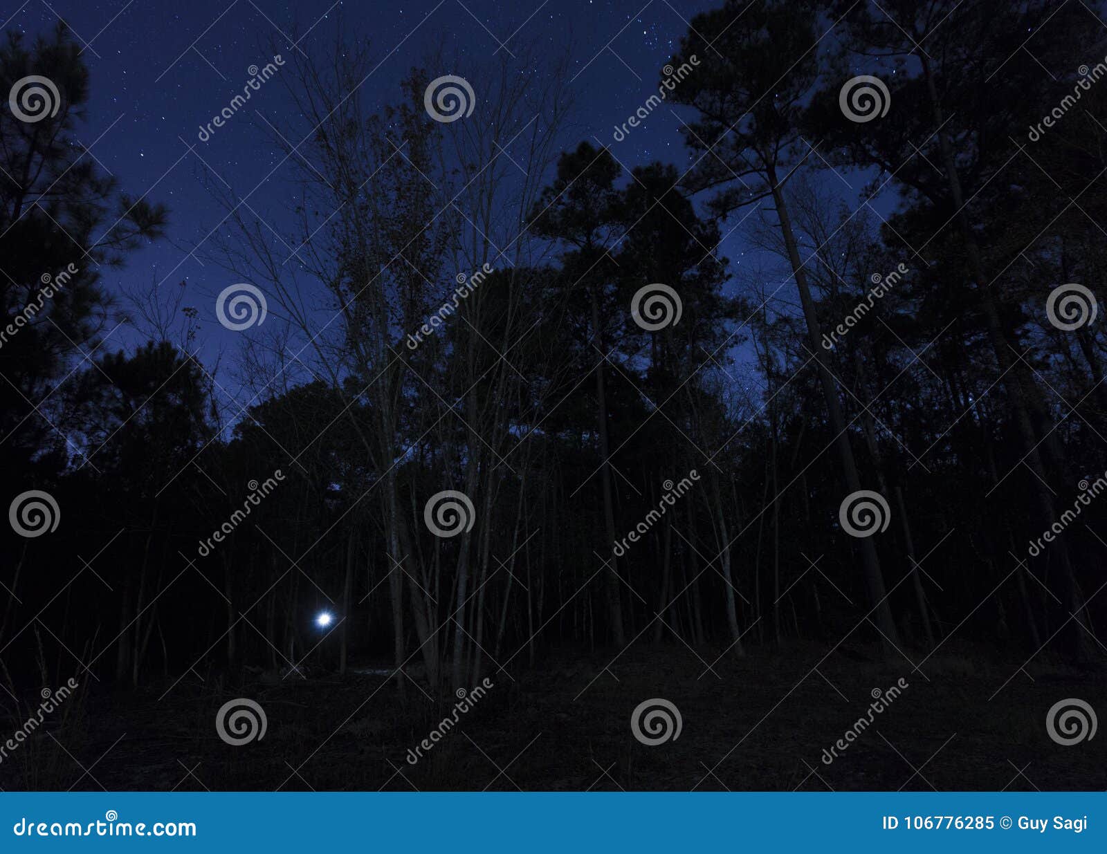 Flashlight in the forest stock image. Image of search - 106776285