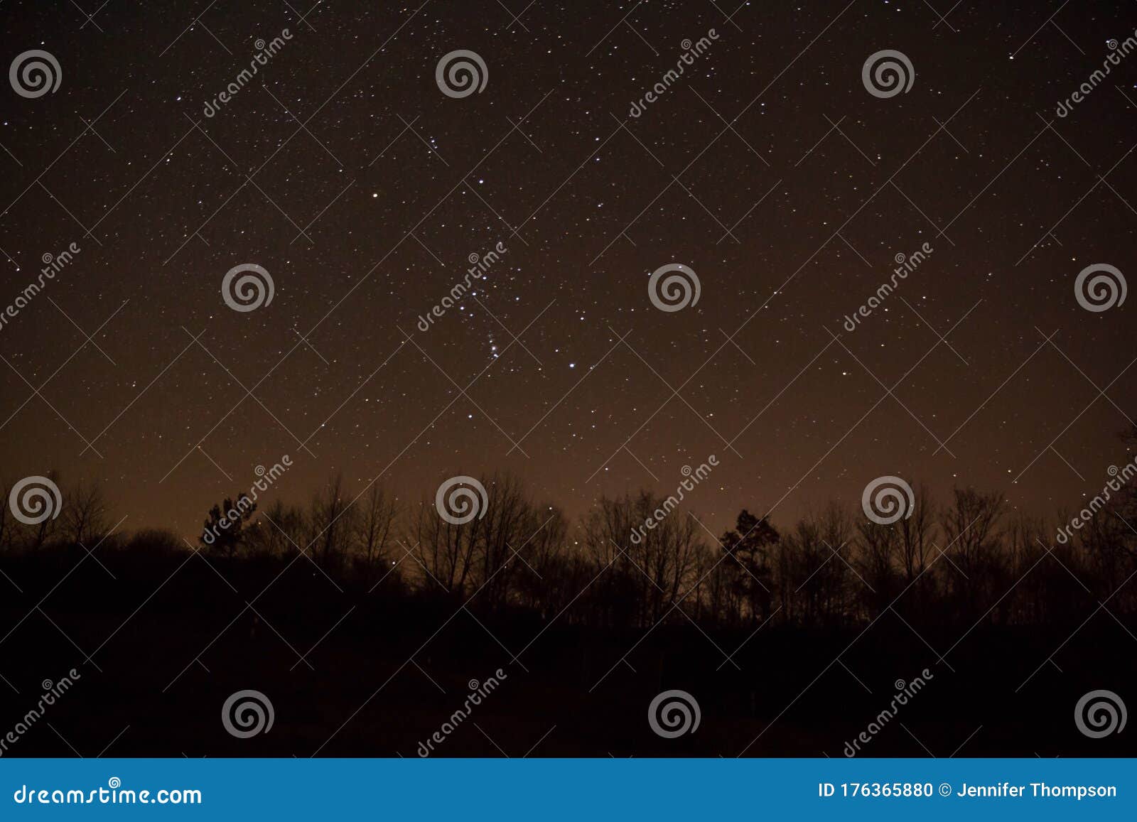 Stars above trees stock photo. Image of night, astronomy - 176365880