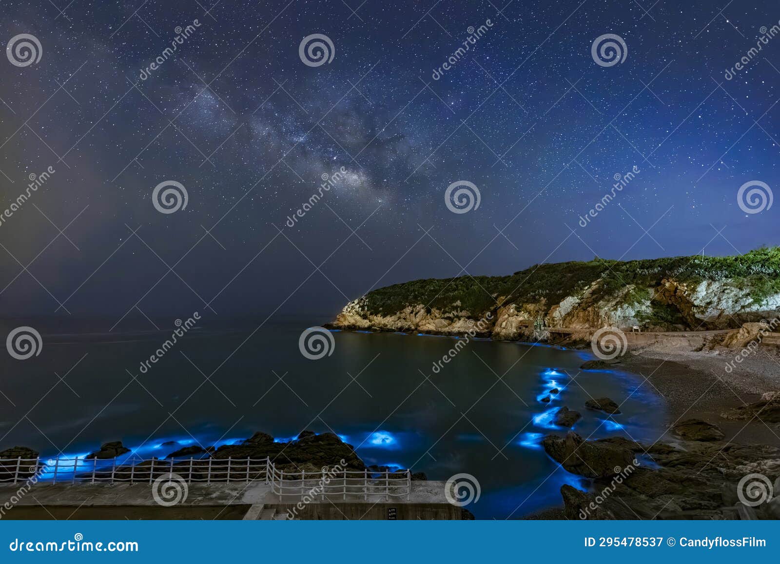 Noctiluca Scintillans Algae Cells Algae Under Microscopic View ...