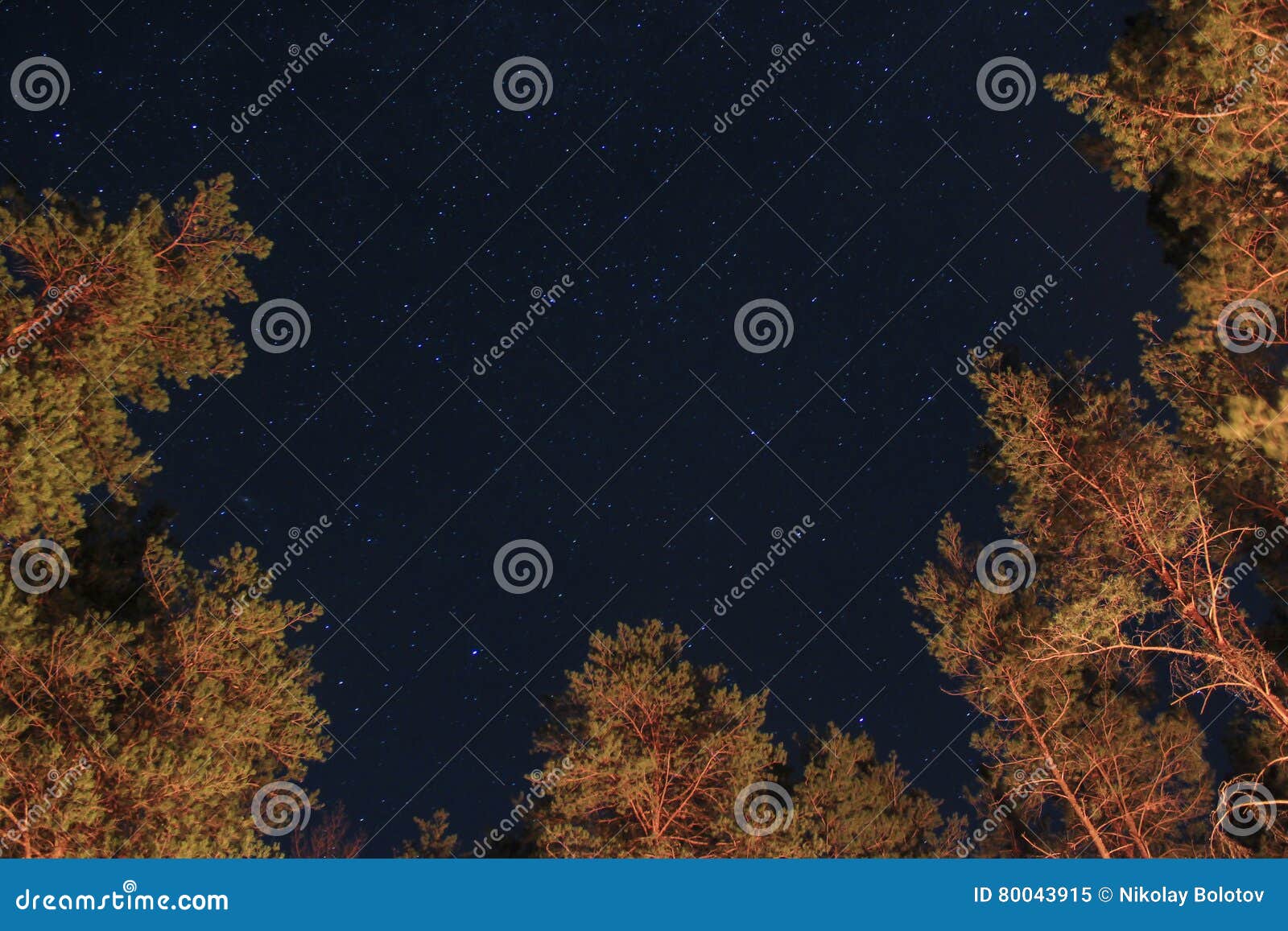 Stars in the forest stock image. Image of stars, outdoors - 80043915