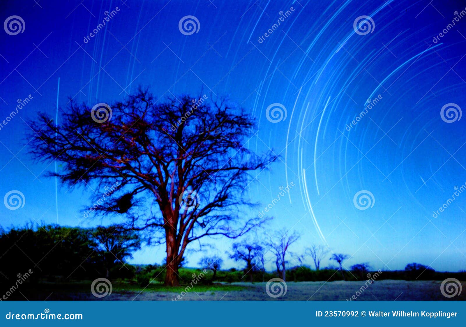 Stars in namib stock photo. Image of rotating, earth - 23570992