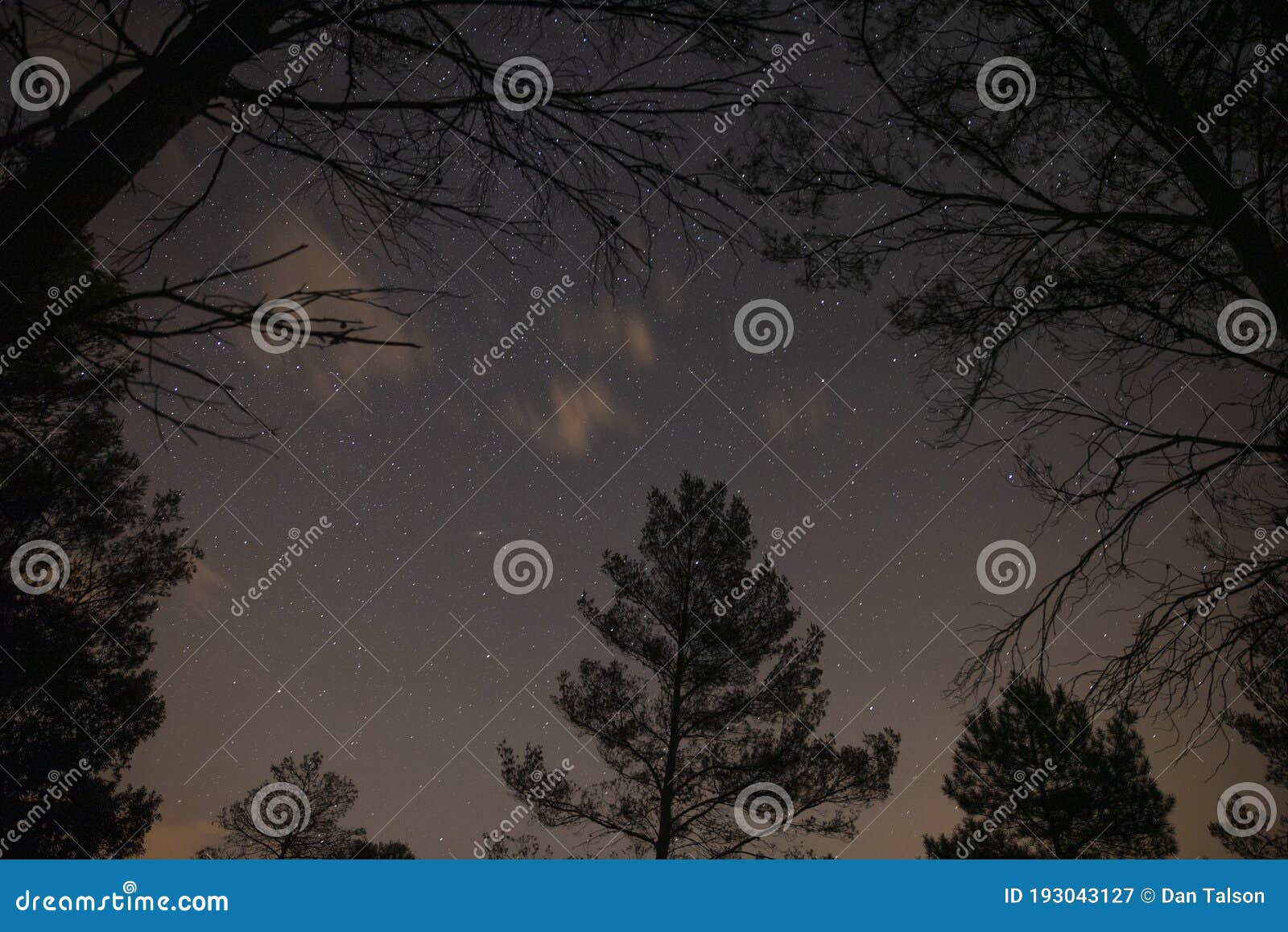 Stars in Night Sky Above Trees Stock Image - Image of astronomy ...