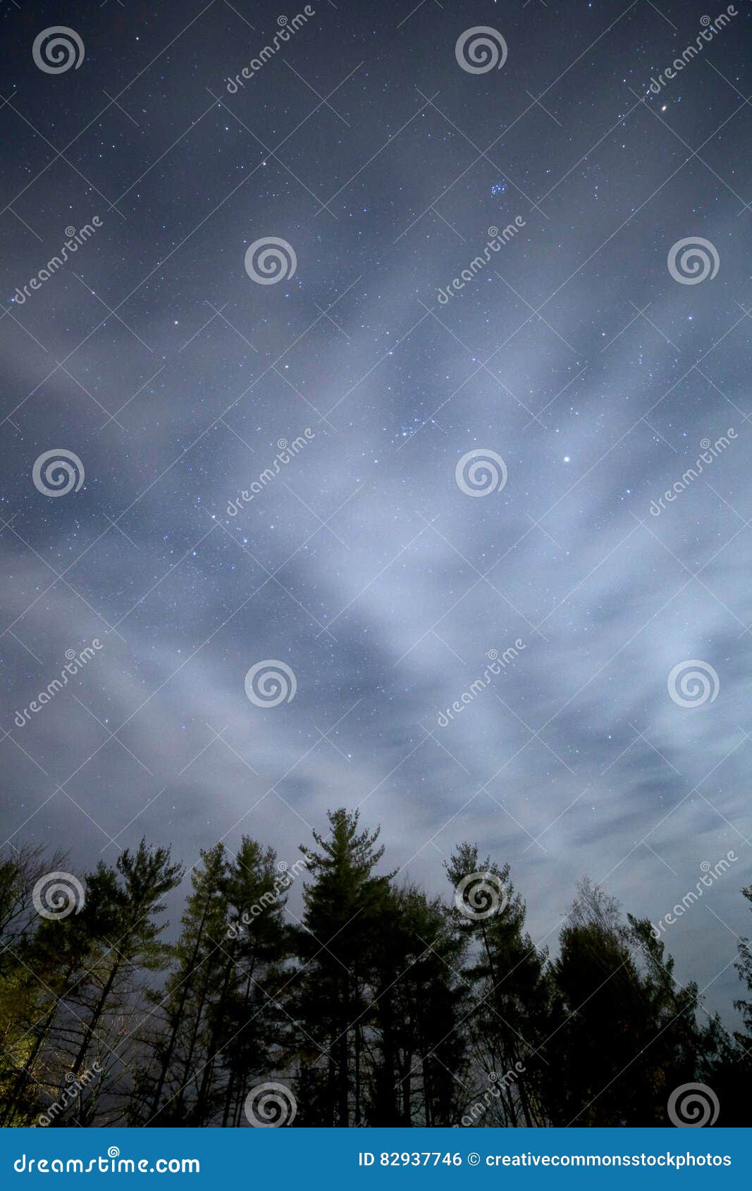 Stars Over A Forest At Night Picture. Image: 82937746