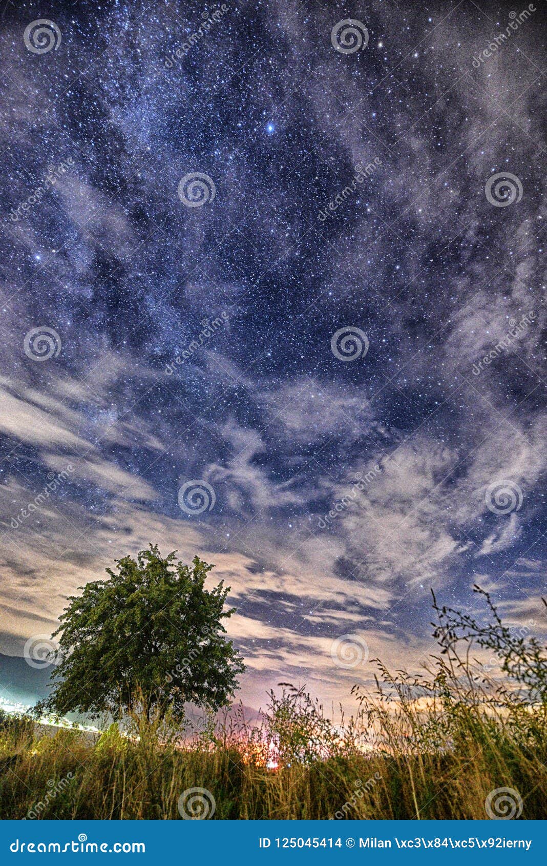 Stars over the tree stock photo. Image of galaxy, tree - 125045414