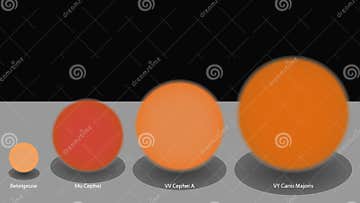 Stars sizes comparison stock vector. Illustration of canis - 220808549