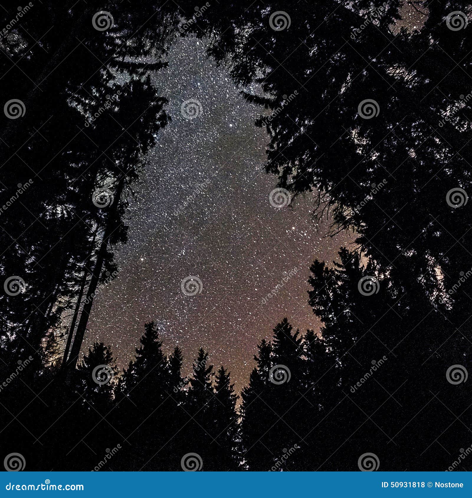 Stars & trees stock photo. Image of lights, trees - 50931818