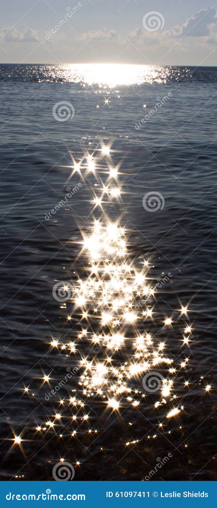 Stars on the water stock image. Image of night, sparkle - 61097411