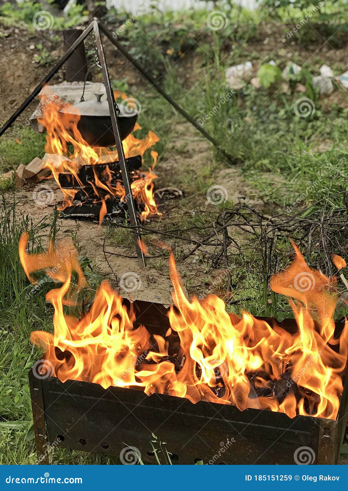 The Start of the Barbecue Party. Stock Image - Image of summer ...