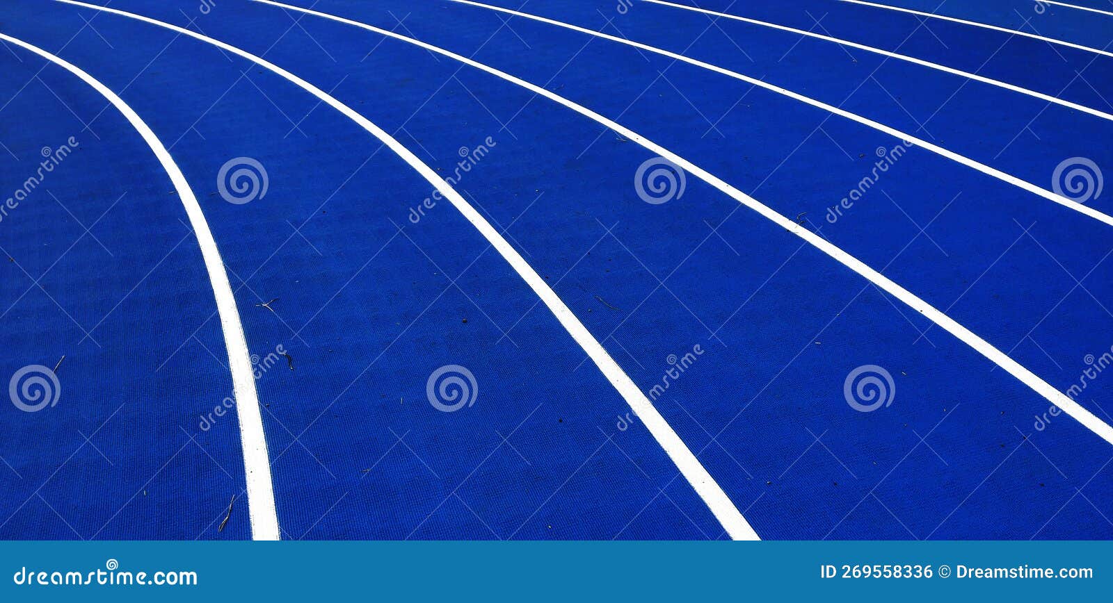 Blue Runway. the Start and End of the Stadium Track Stock Photo - Image ...