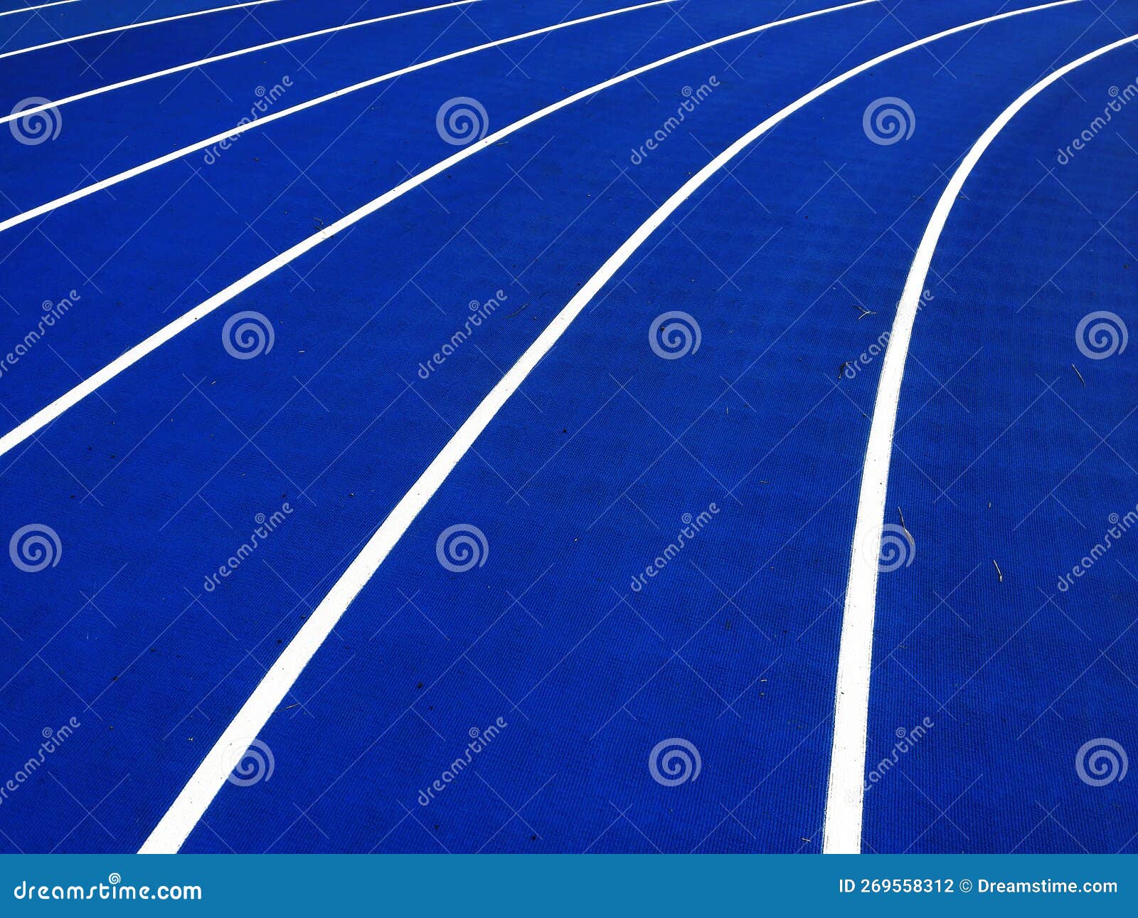 Blue Runway. the Start and End of the Stadium Track Stock Photo - Image ...