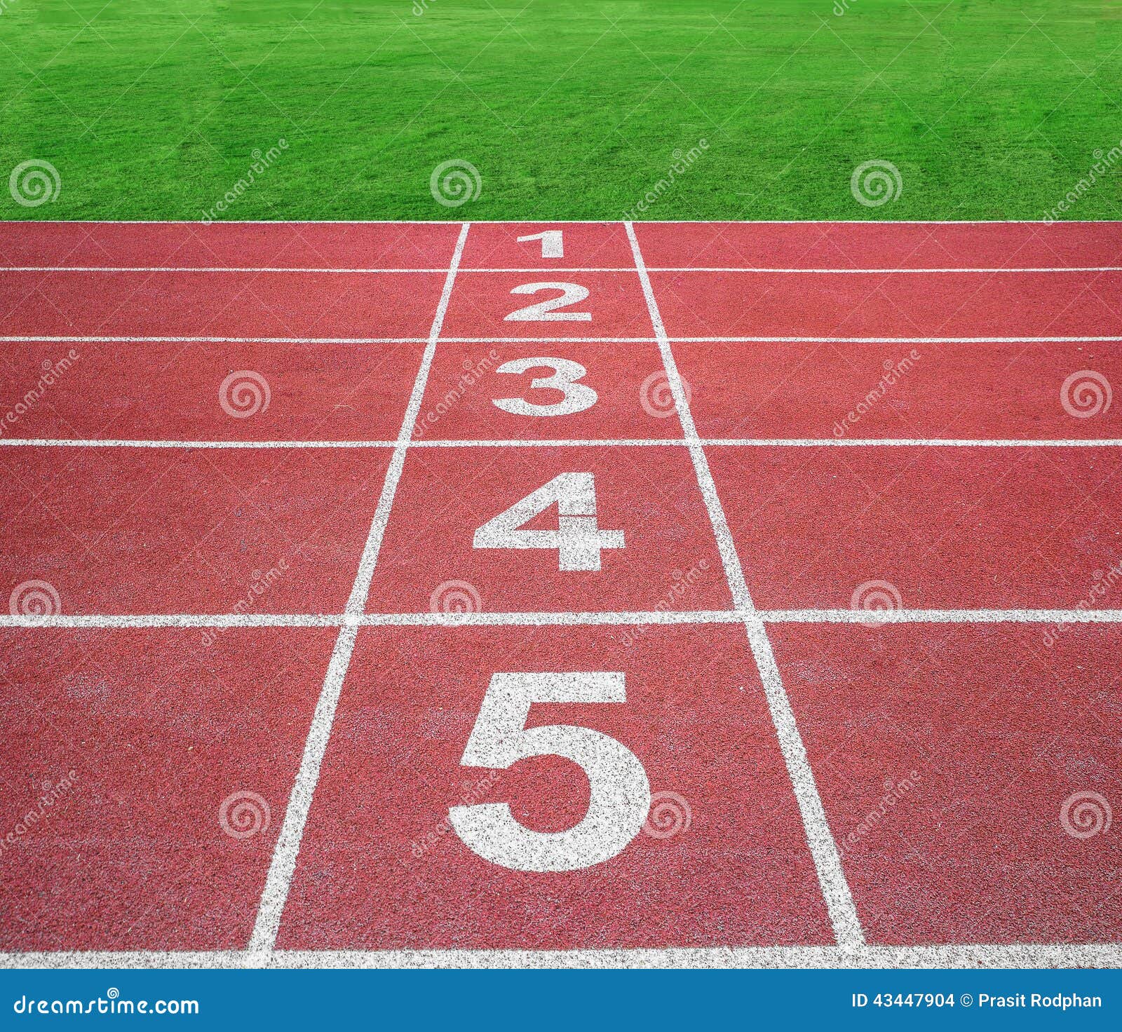 Start or Finish Position on Running Track with Green Field Stock Photo ...