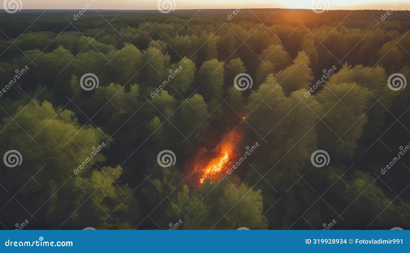The Start of a Fire in a Summer Forest at Dawn Stock Illustration ...