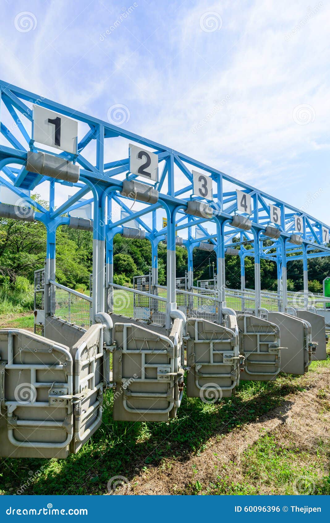 Start Gates for Horse Races Stock Photo - Image of outdoor, starting ...