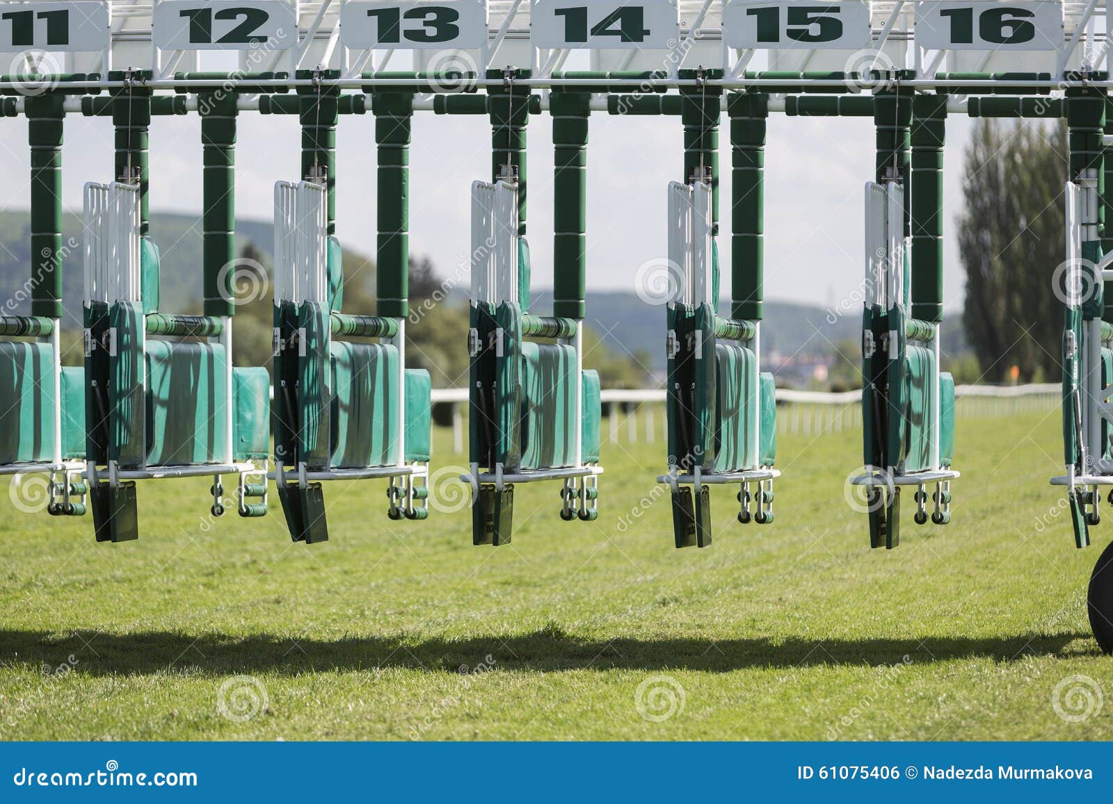Start Gates for Horse Races Stock Photo - Image of gate, mane: 61075406