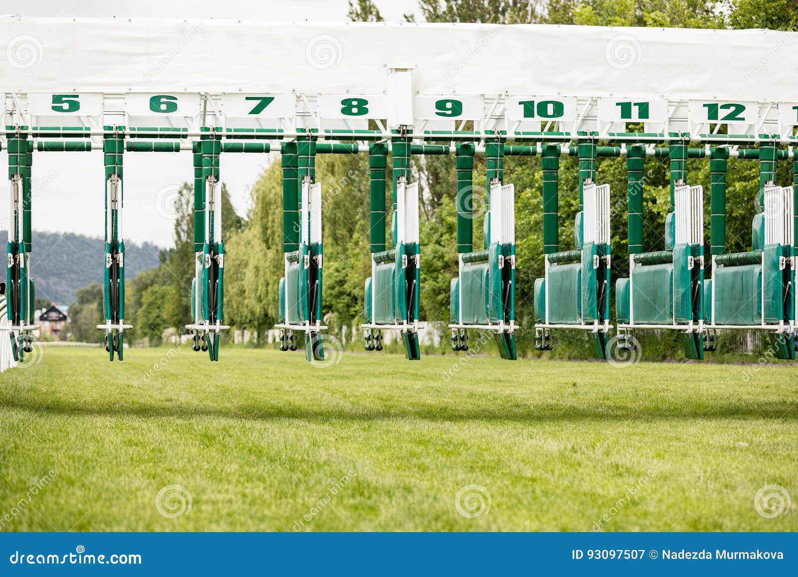 Start Gates for Horse Races. Stock Image - Image of southern, horse ...