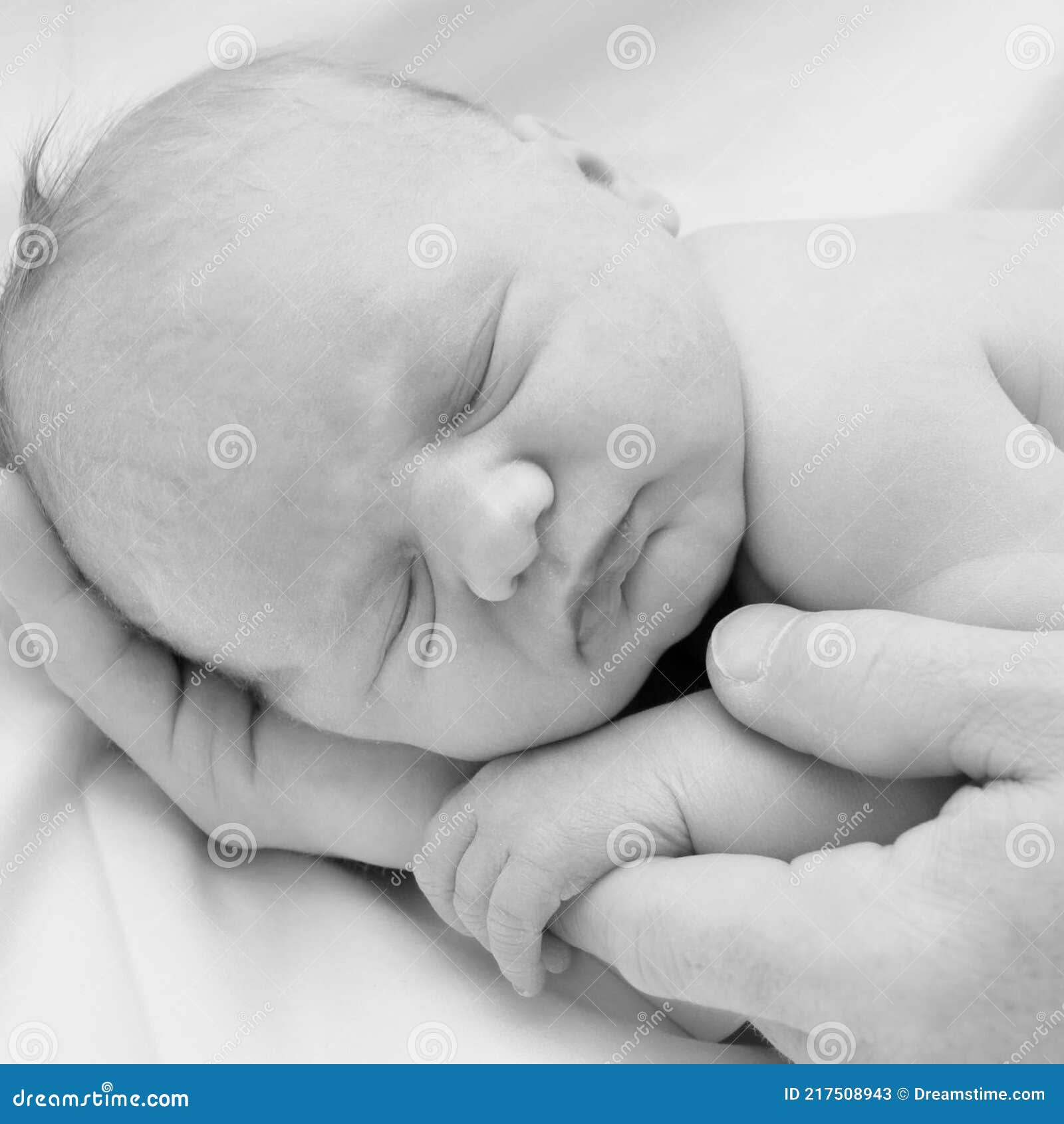 Start of life stock image. Image of start, renew, rebirth - 217508943