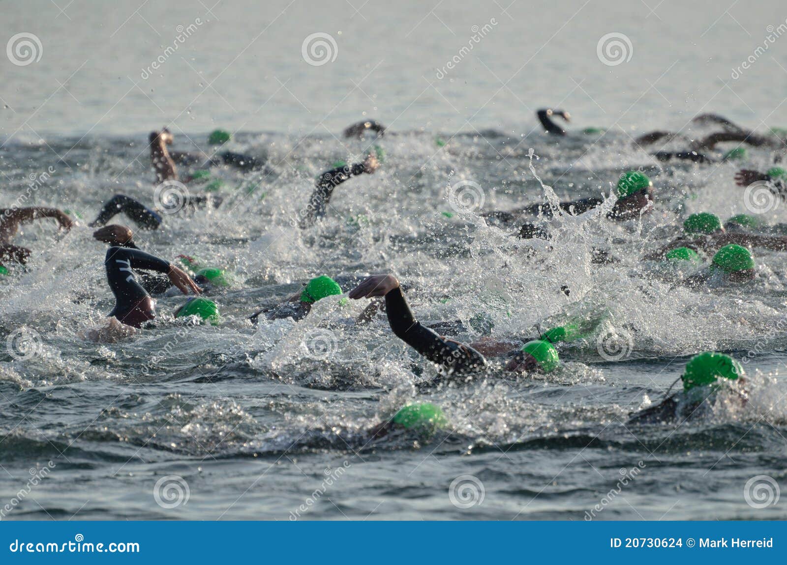 Start of a Men S Open Water Swim Race Editorial Stock Image - Image of ...