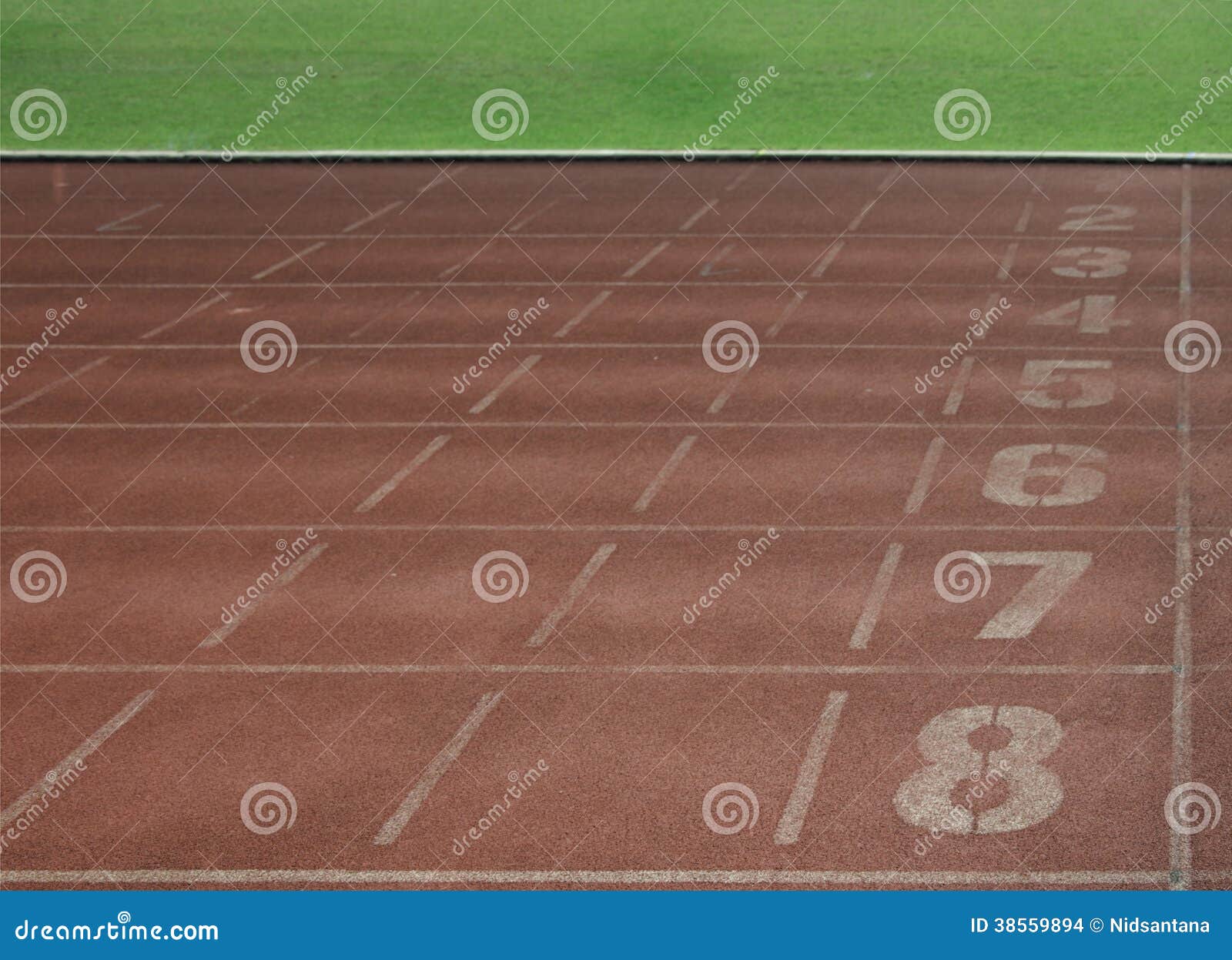 Start point of race track stock photo. Image of sporting - 38559894
