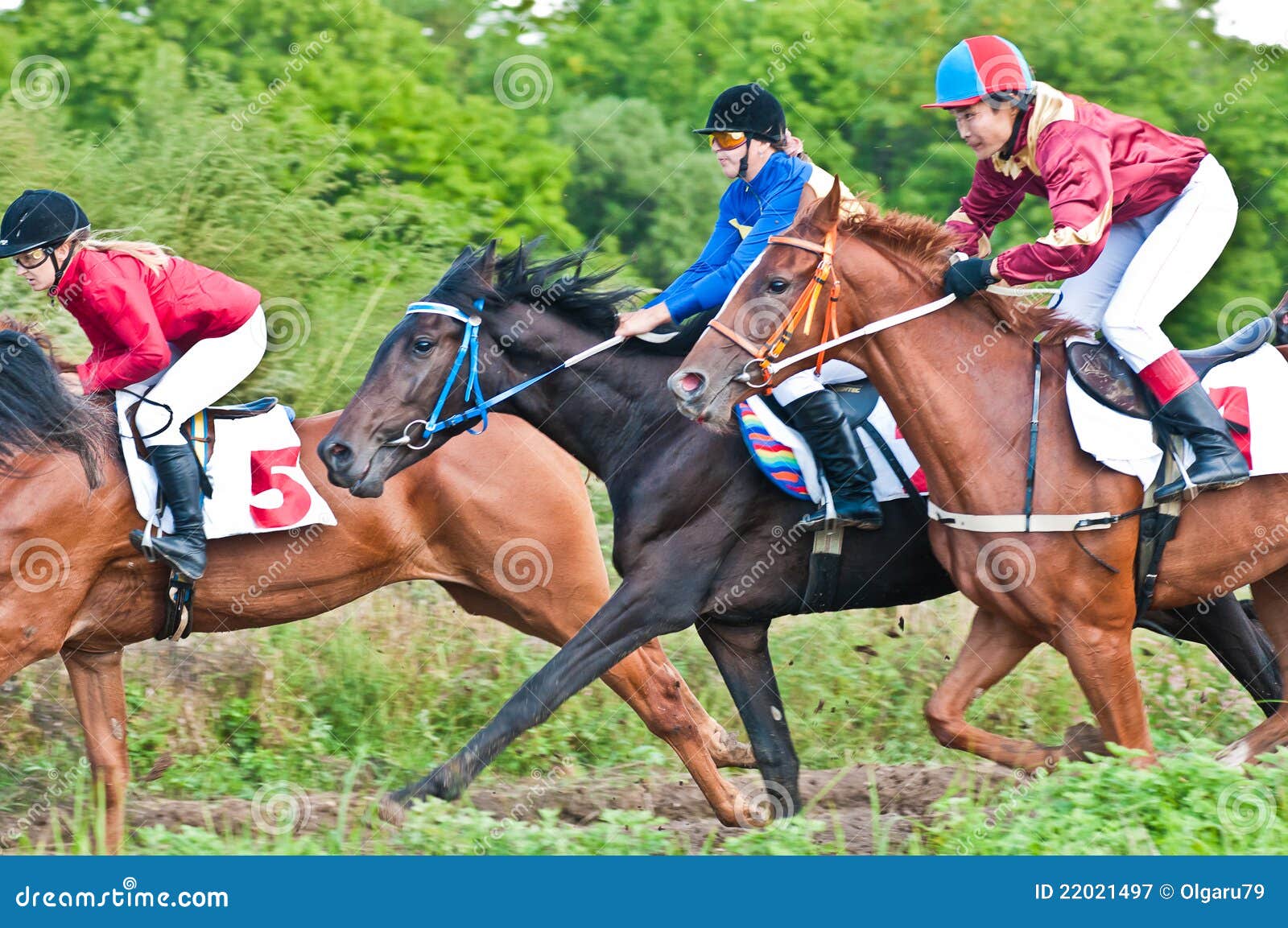 Start of Racing Horses Starting a Race Editorial Photography - Image of ...
