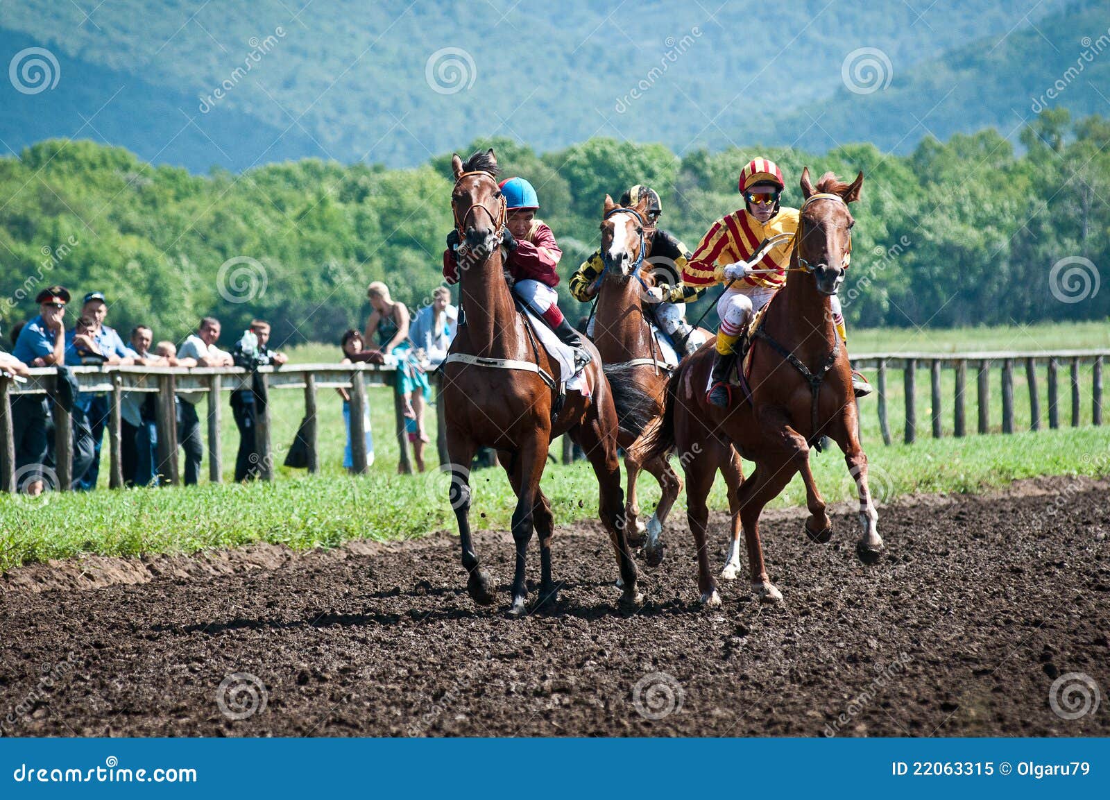 Start of Racing Horses Starting a Race Editorial Image - Image of ...