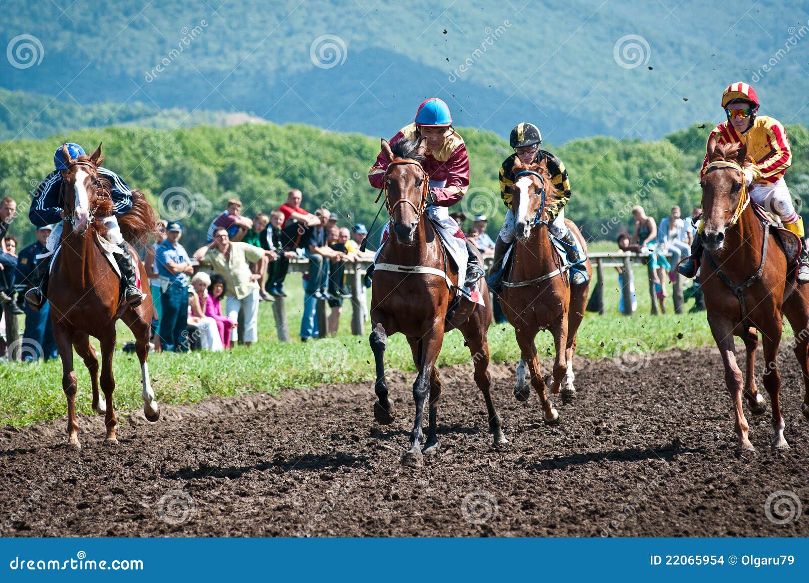 Start of Racing Horses Starting a Race Editorial Stock Image - Image of ...