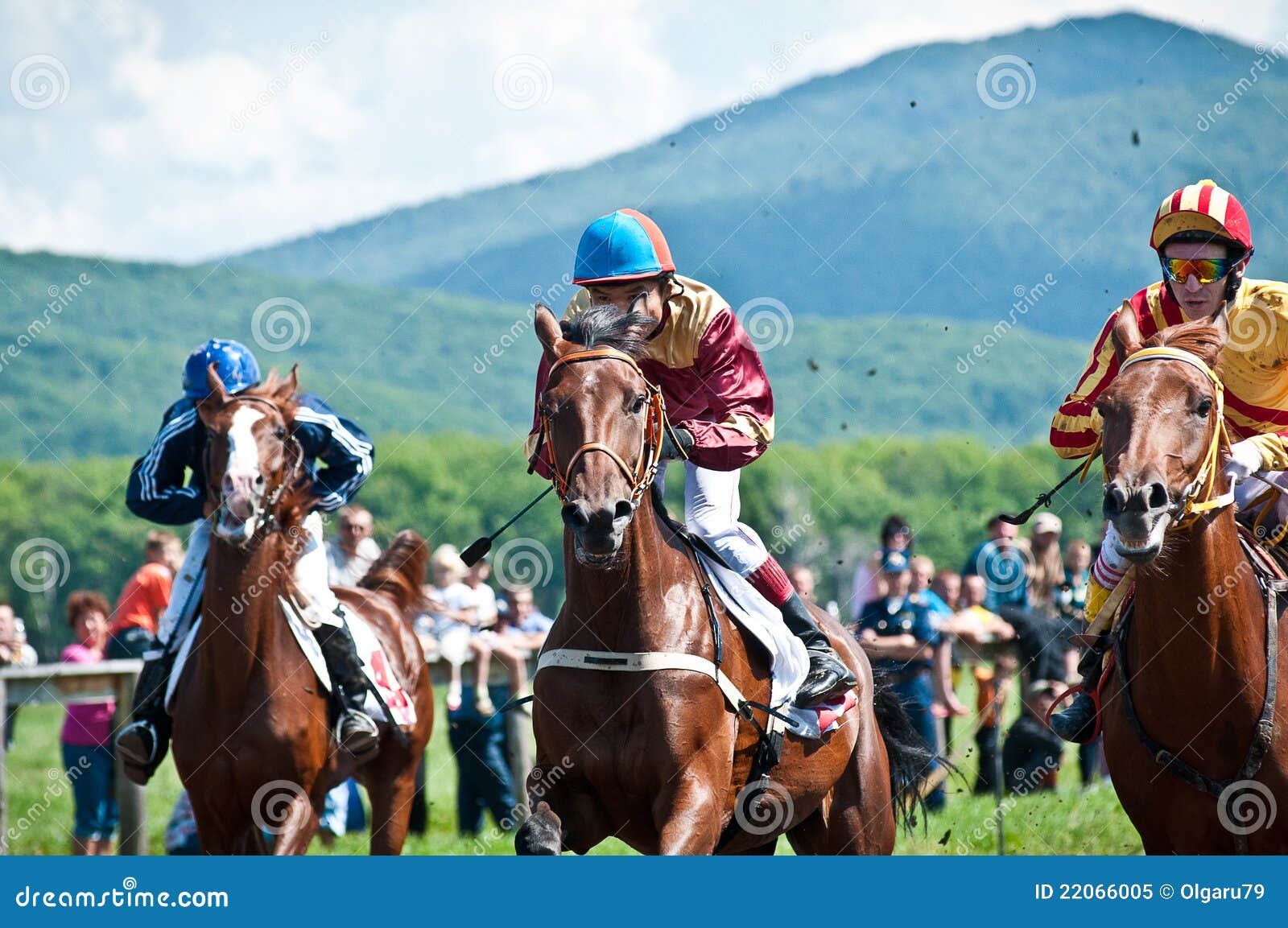 Start of Racing Horses Starting a Race Editorial Image - Image of ...