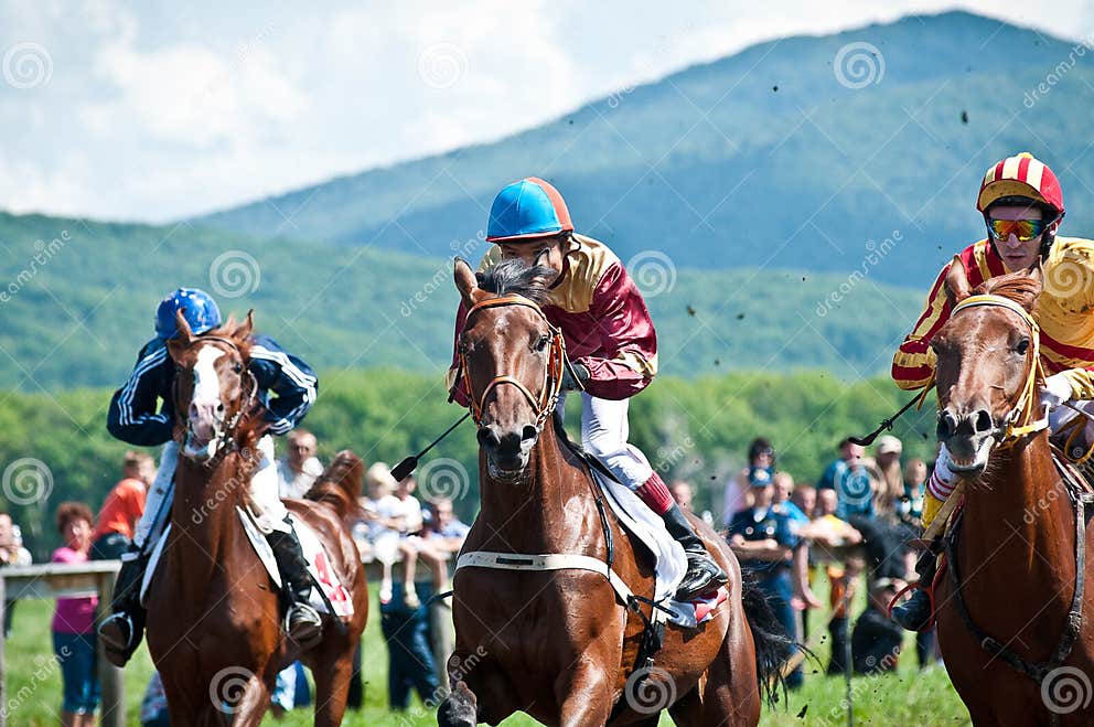 Start of Racing Horses Starting a Race Editorial Image - Image of ...