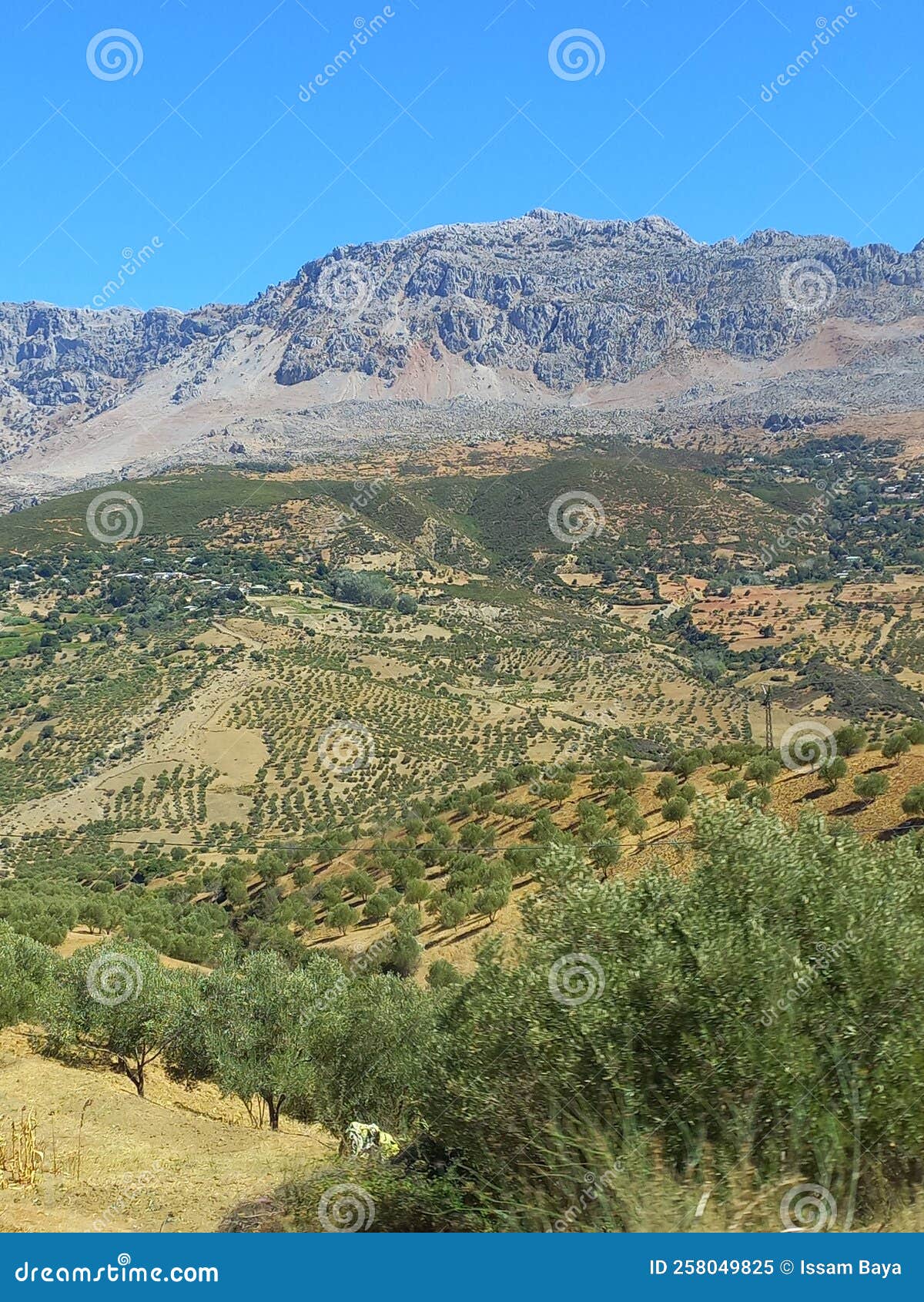 The Start of Rif Mountain in Morocco Jebala Stock Image - Image of tree ...