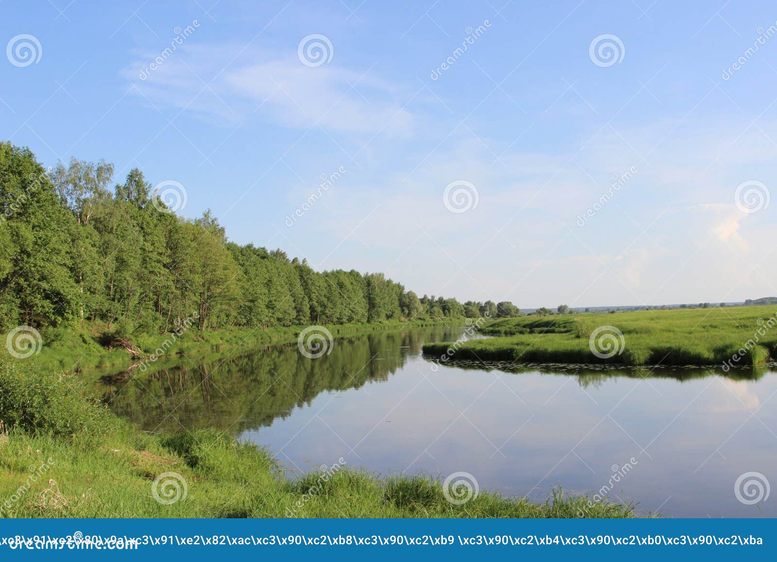 Start stock photo. Image of inheaven, origination, forest - 43746102