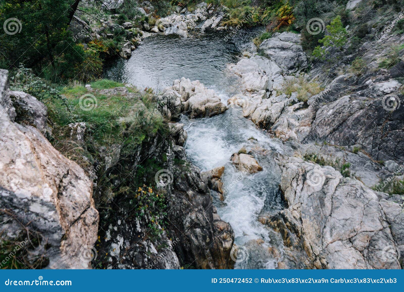 Start of a River from Underground Stock Photo - Image of green ...