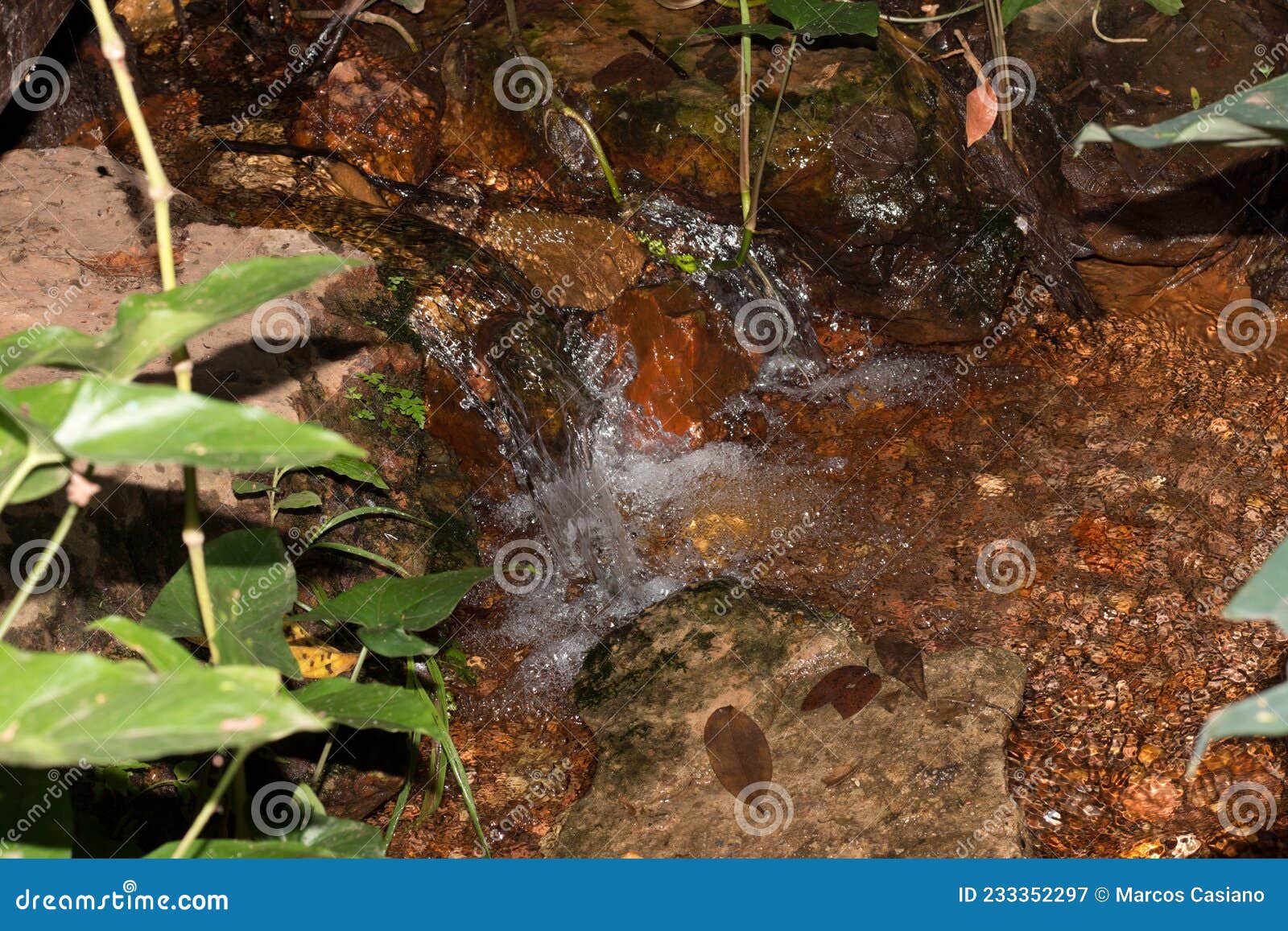 The Start or the Source of the River Stock Image - Image of lake, river ...