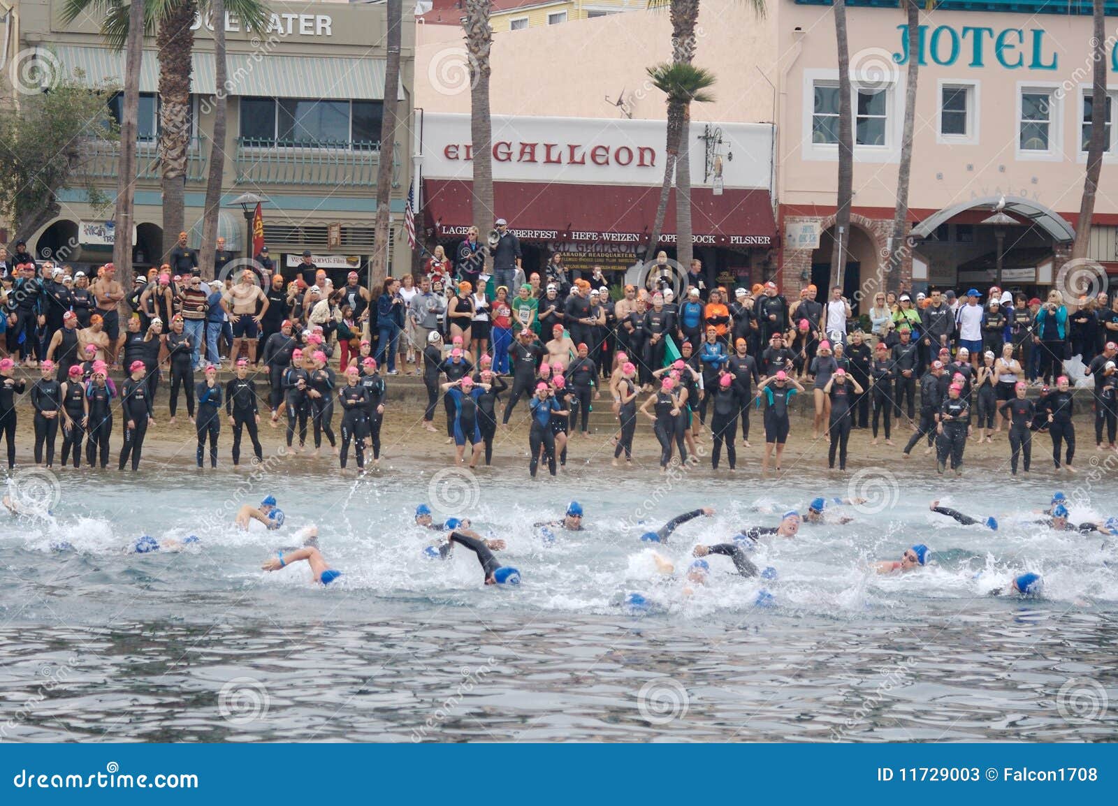 Start of a Triathlon editorial stock photo. Image of sporting - 11729003