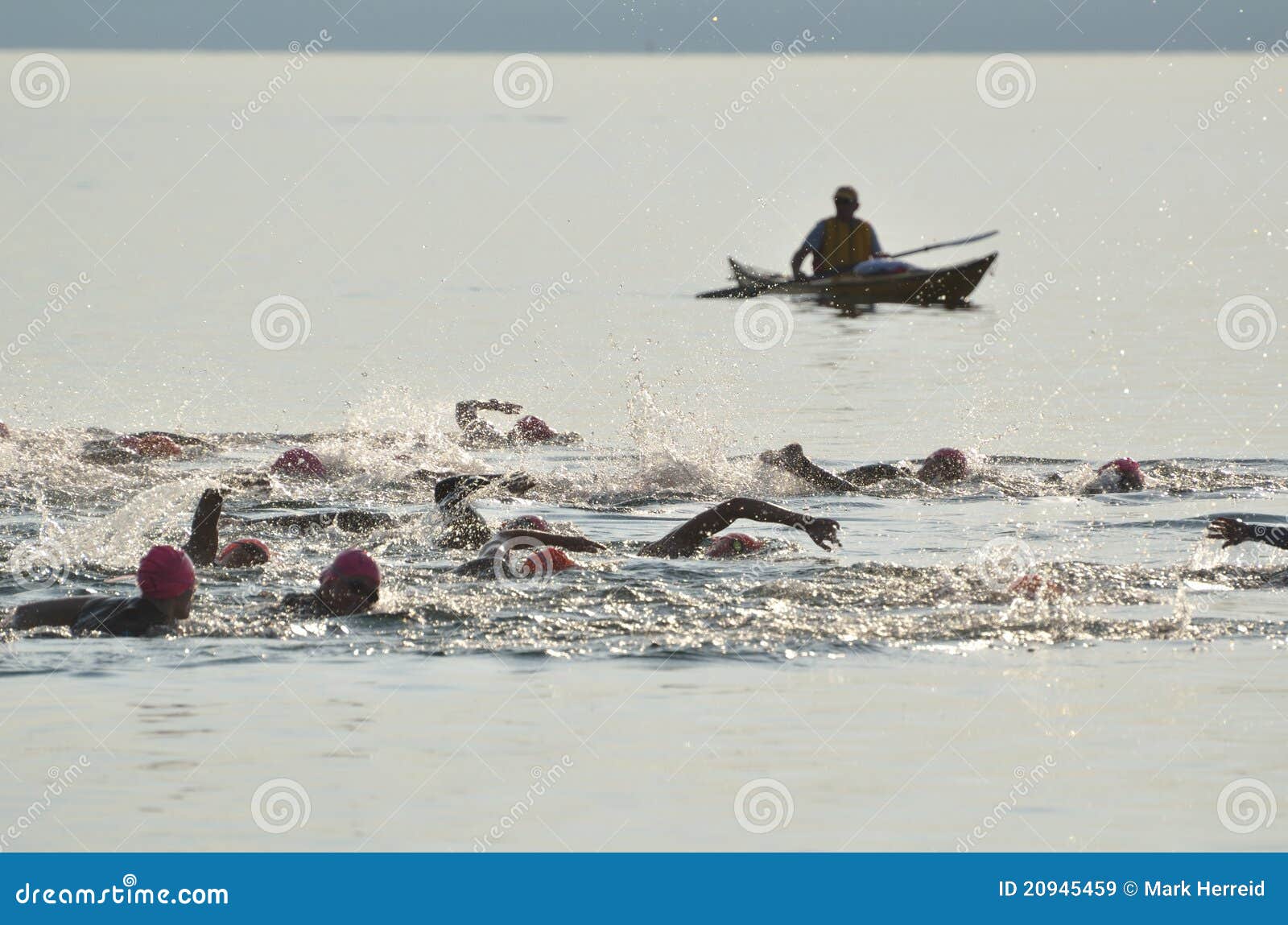 Start of a Women S Open Water Swim Race Editorial Stock Image - Image ...