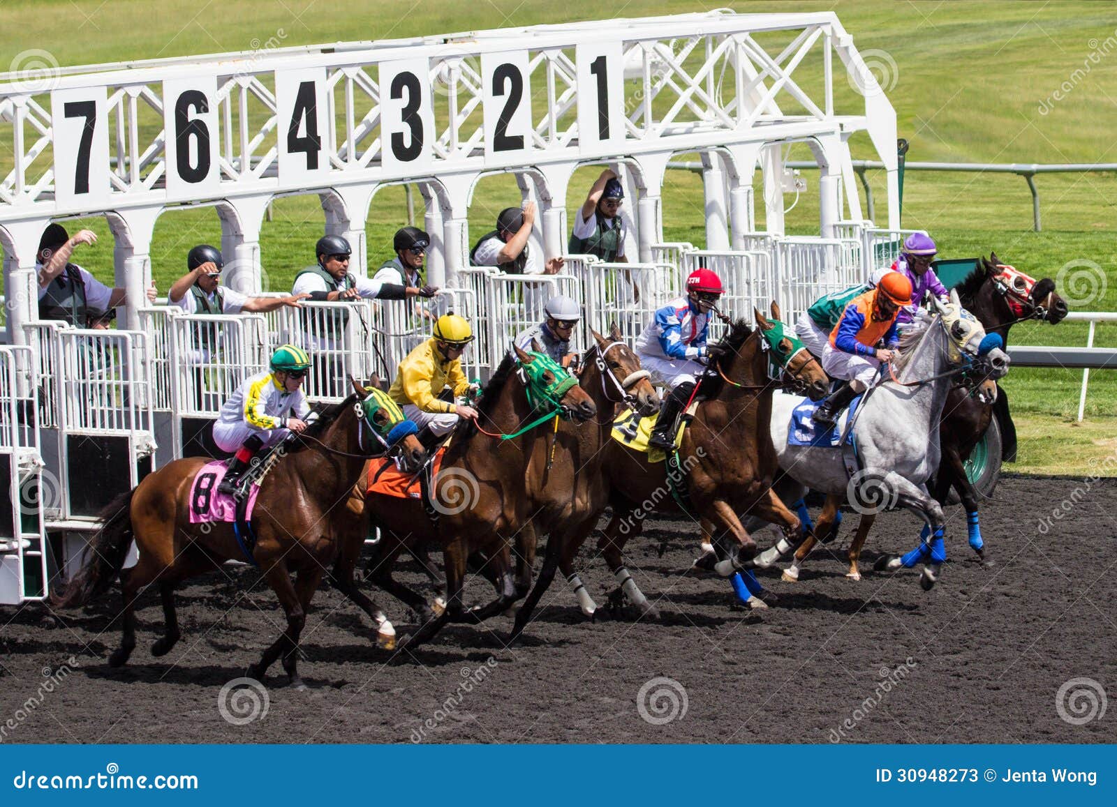 Starter Gate editorial stock photo. Image of horse, turf - 30948273