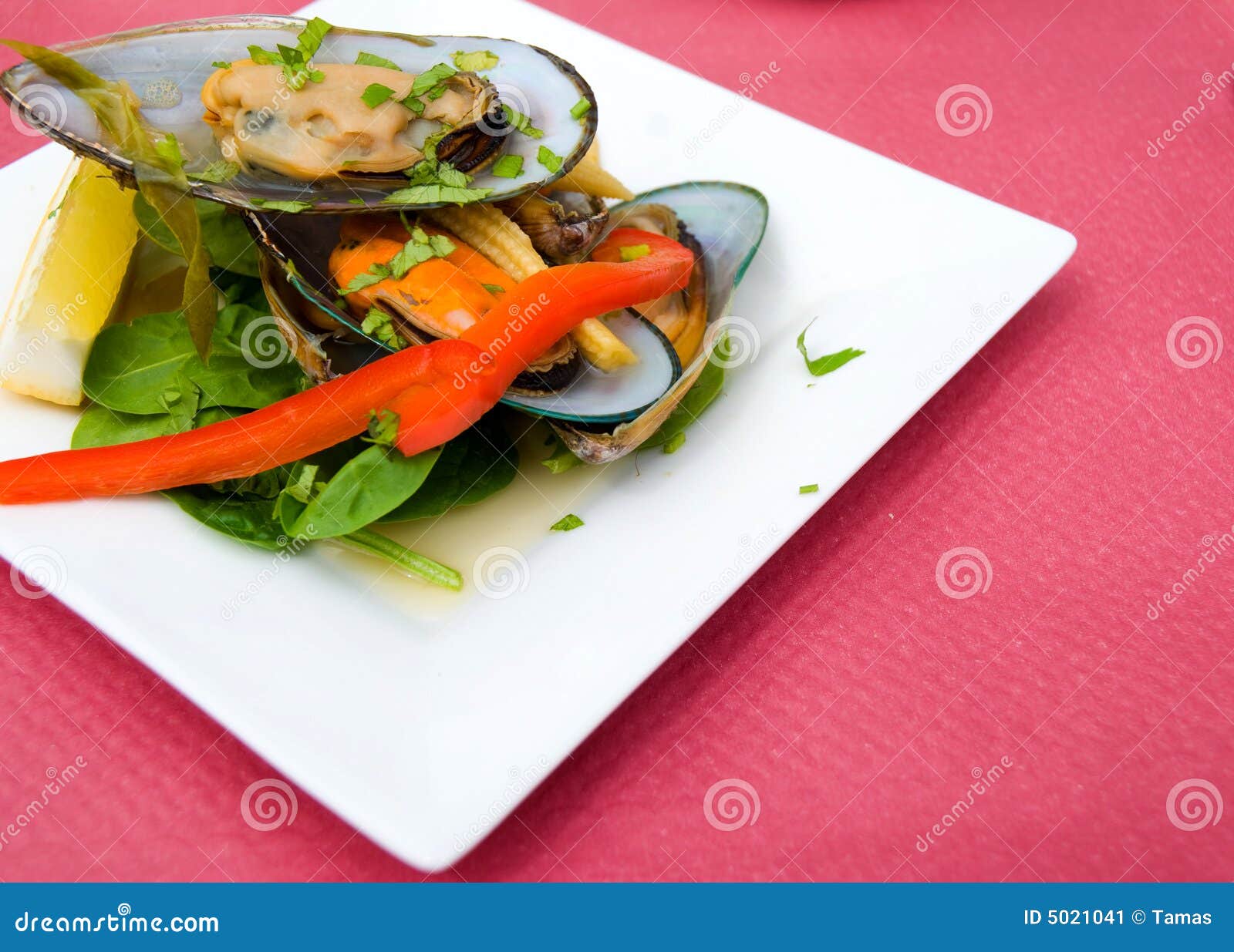 Starter with mussels stock image. Image of mussels, appetizing - 5021041