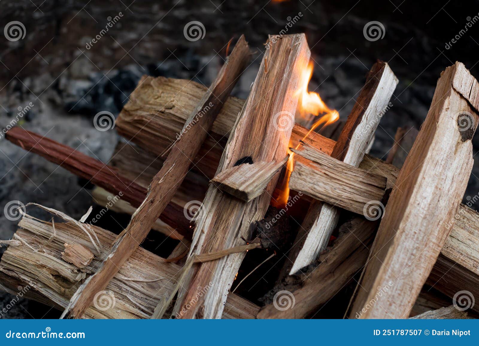 Starting a Campfire in a Firepit with Kindling. Camping Lifestyle Stock ...