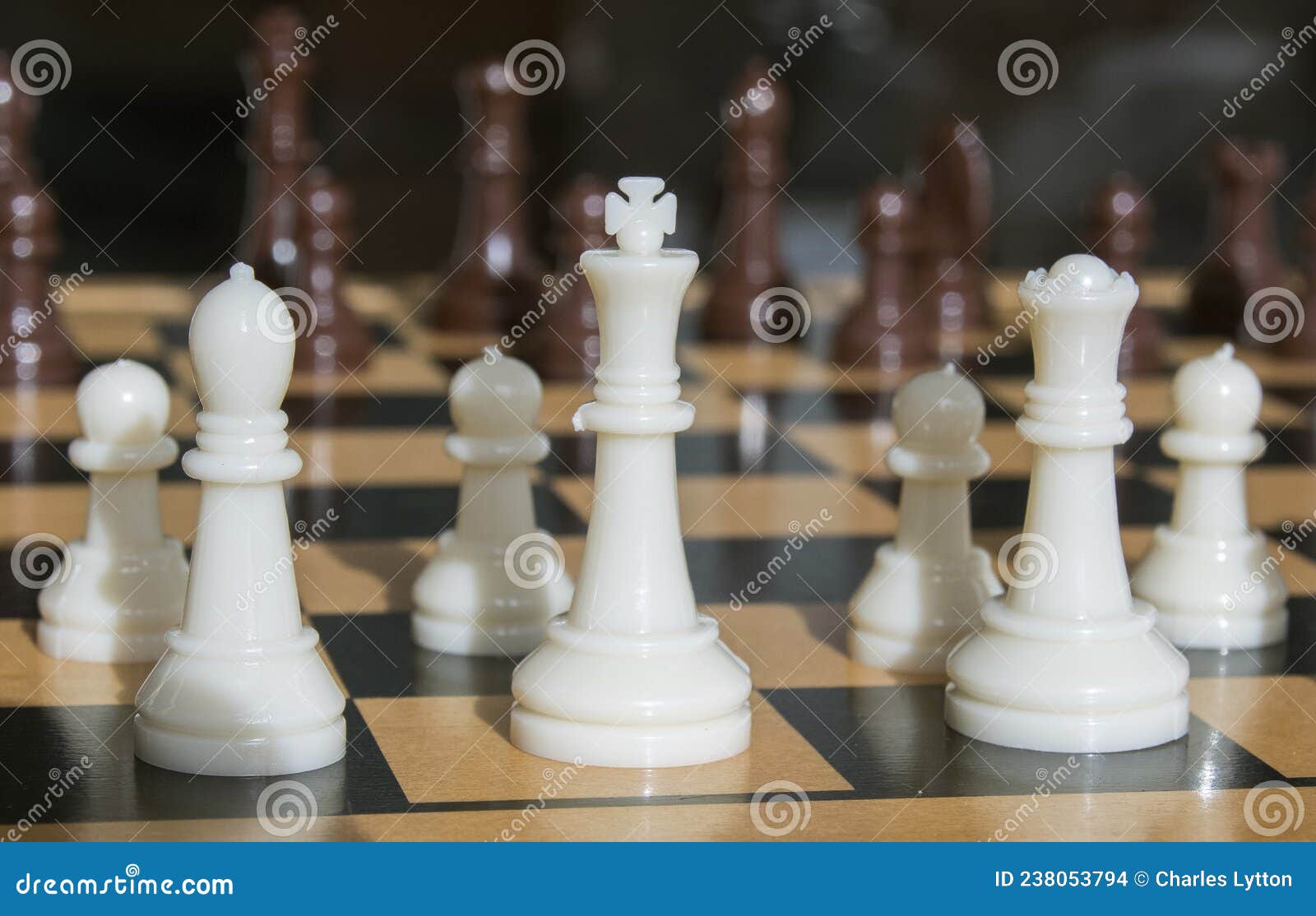 Starting the Game stock photo. Image of games, queen - 238053794