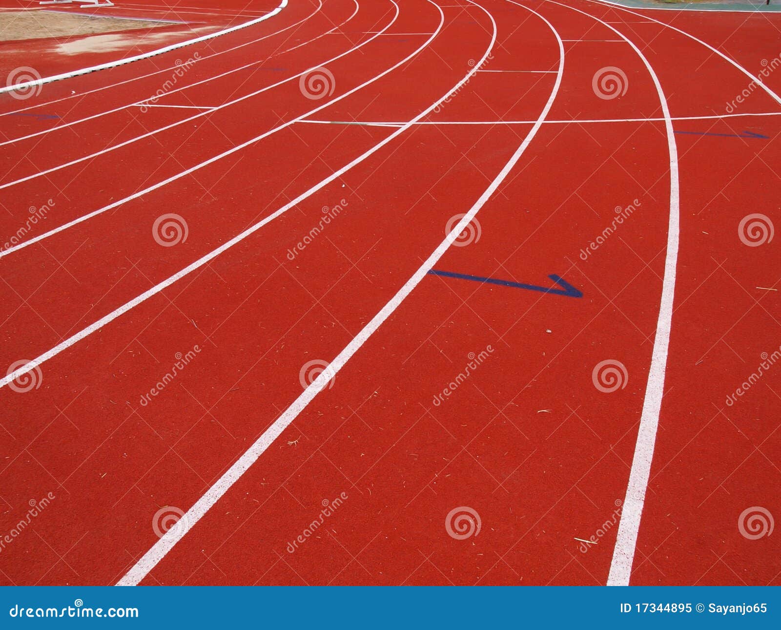 Starting Grid Of Race Track In Stadium Stock Image - Image of lane ...