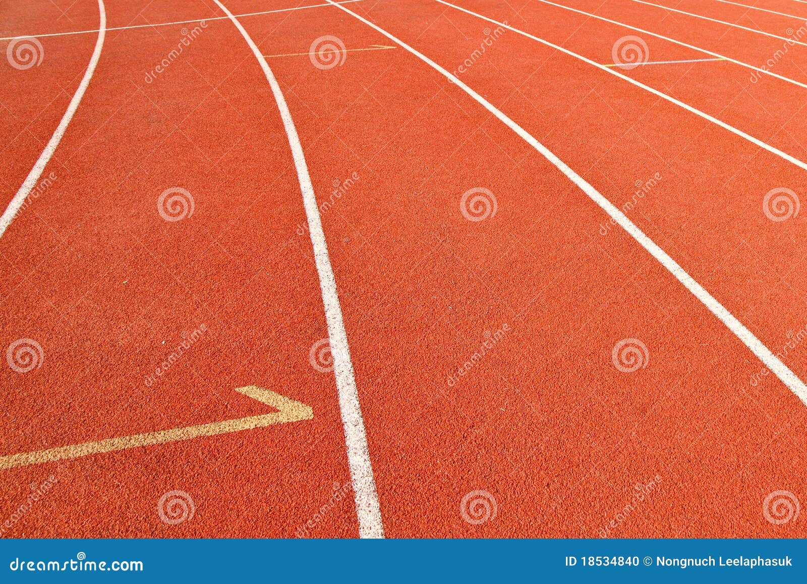 Starting Grid of Race Track in Stadium Stock Photo - Image of goal ...