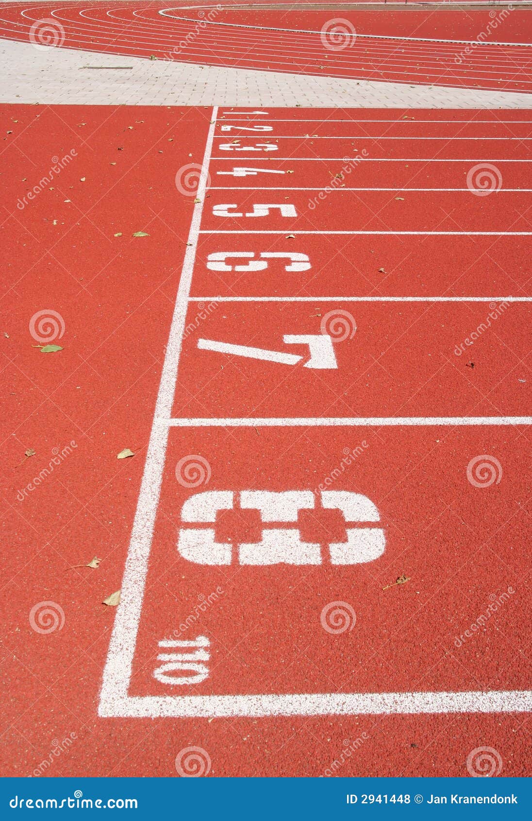 Starting Line stock photo. Image of racing, competition - 2941448